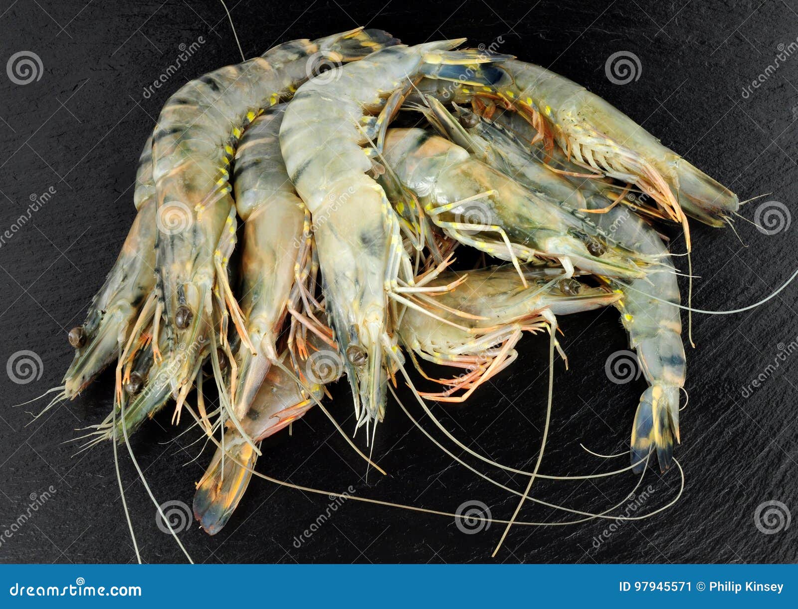 Raw Black King Tiger Prawns Stock Image - Image of grouped, animal ...
