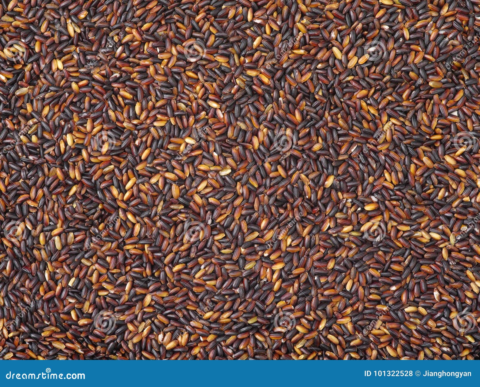 Raw Black rice stock photo. Image of vegetarian, blue - 101322528