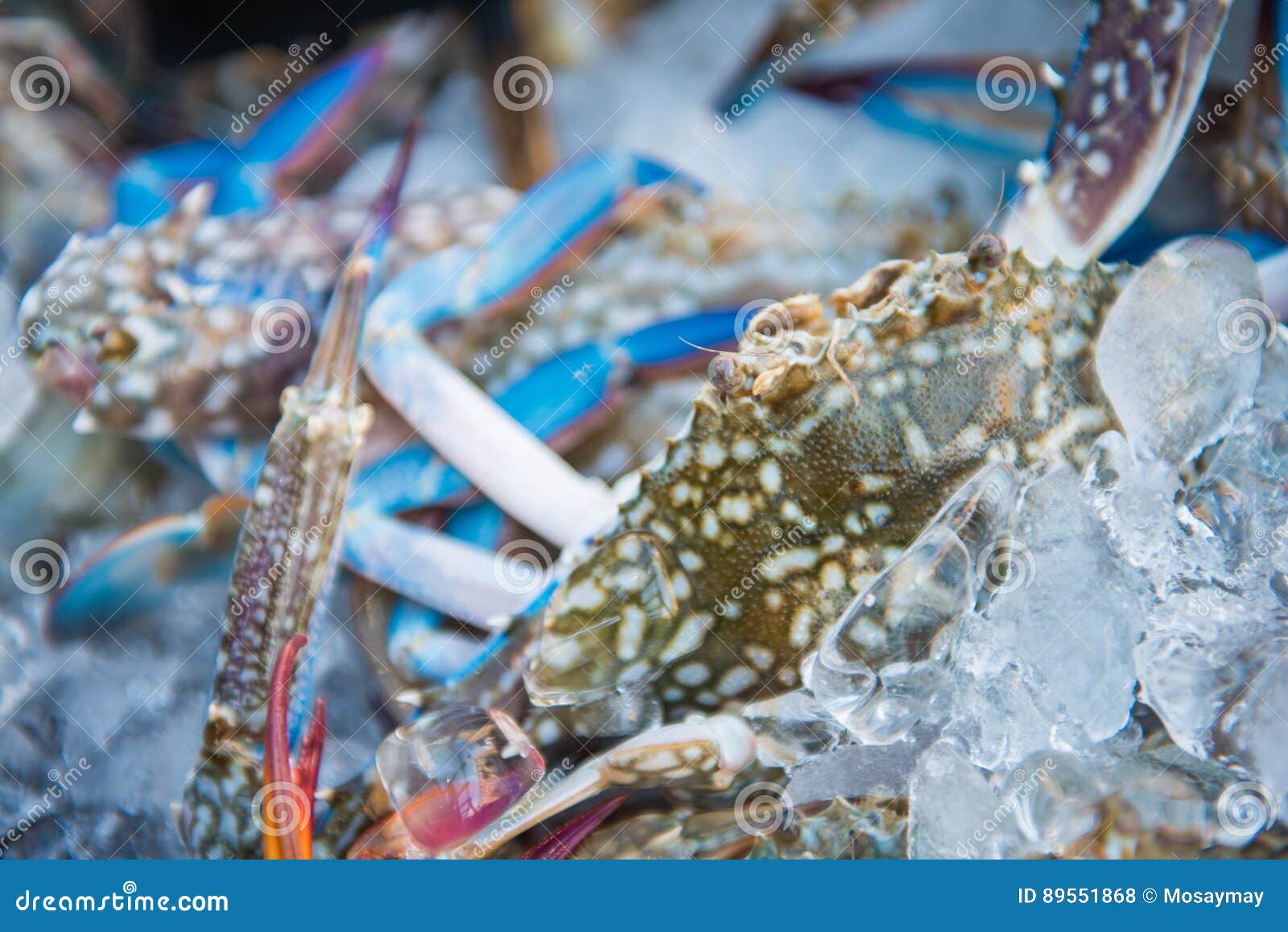 Raw blue crabs on ice stock photo. Image of cool, seafood - 89551868