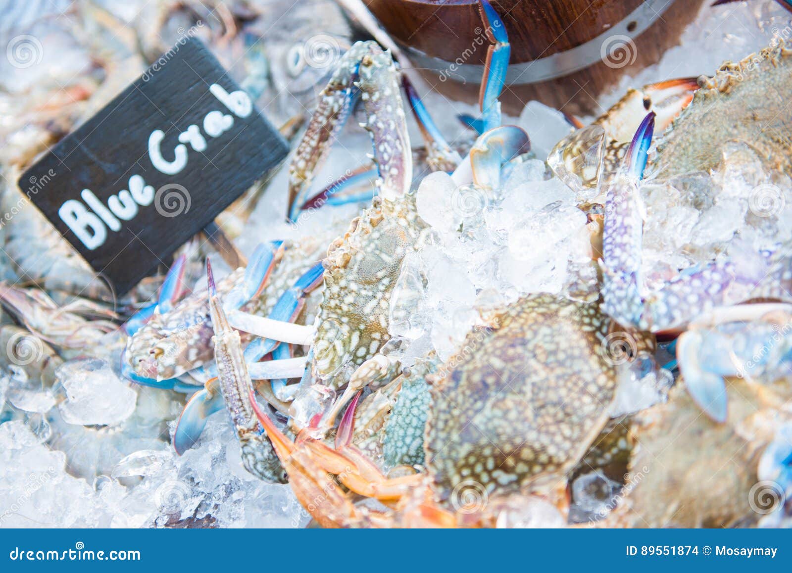Raw blue crabs on ice stock photo. Image of ingredient - 89551874