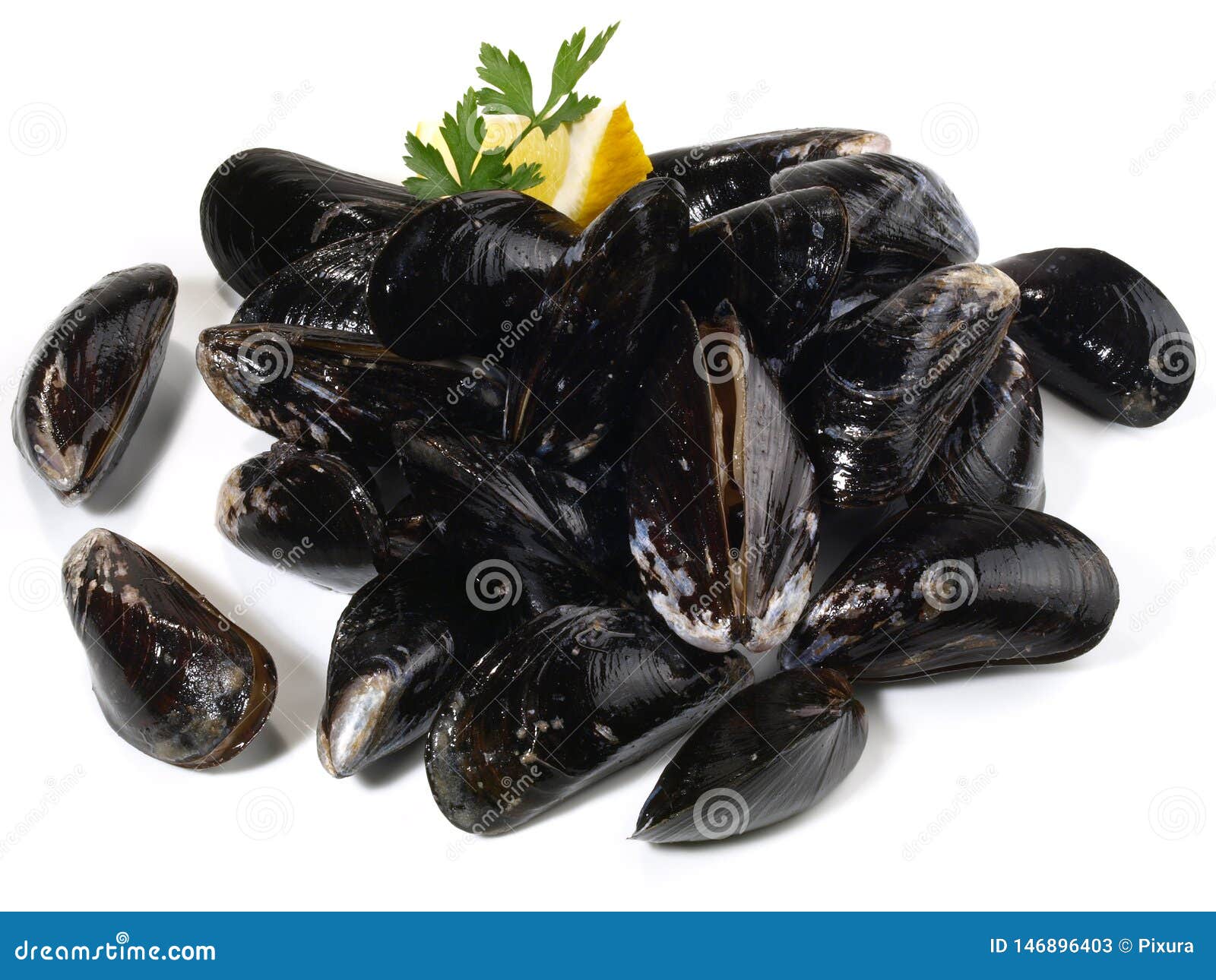 Raw Blue Mussel on White stock image. Image of fresh - 146896403