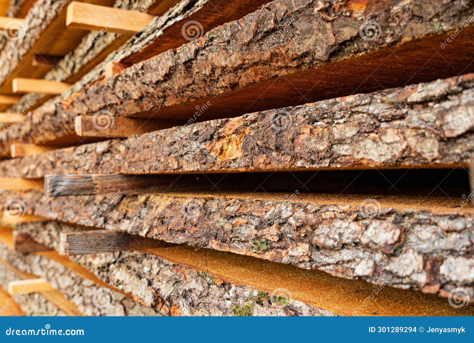 Raw Board with Bark Close-up. Stack of Cut Wood in a Sawmill Stock ...