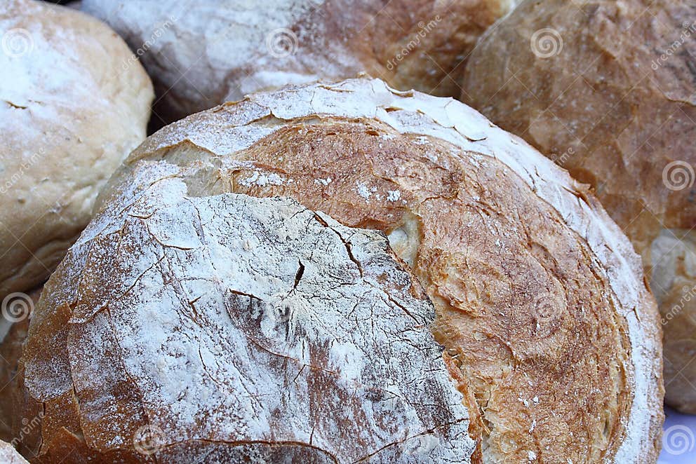 Raw bread in bakery stock image. Image of bakery, barley - 21721105