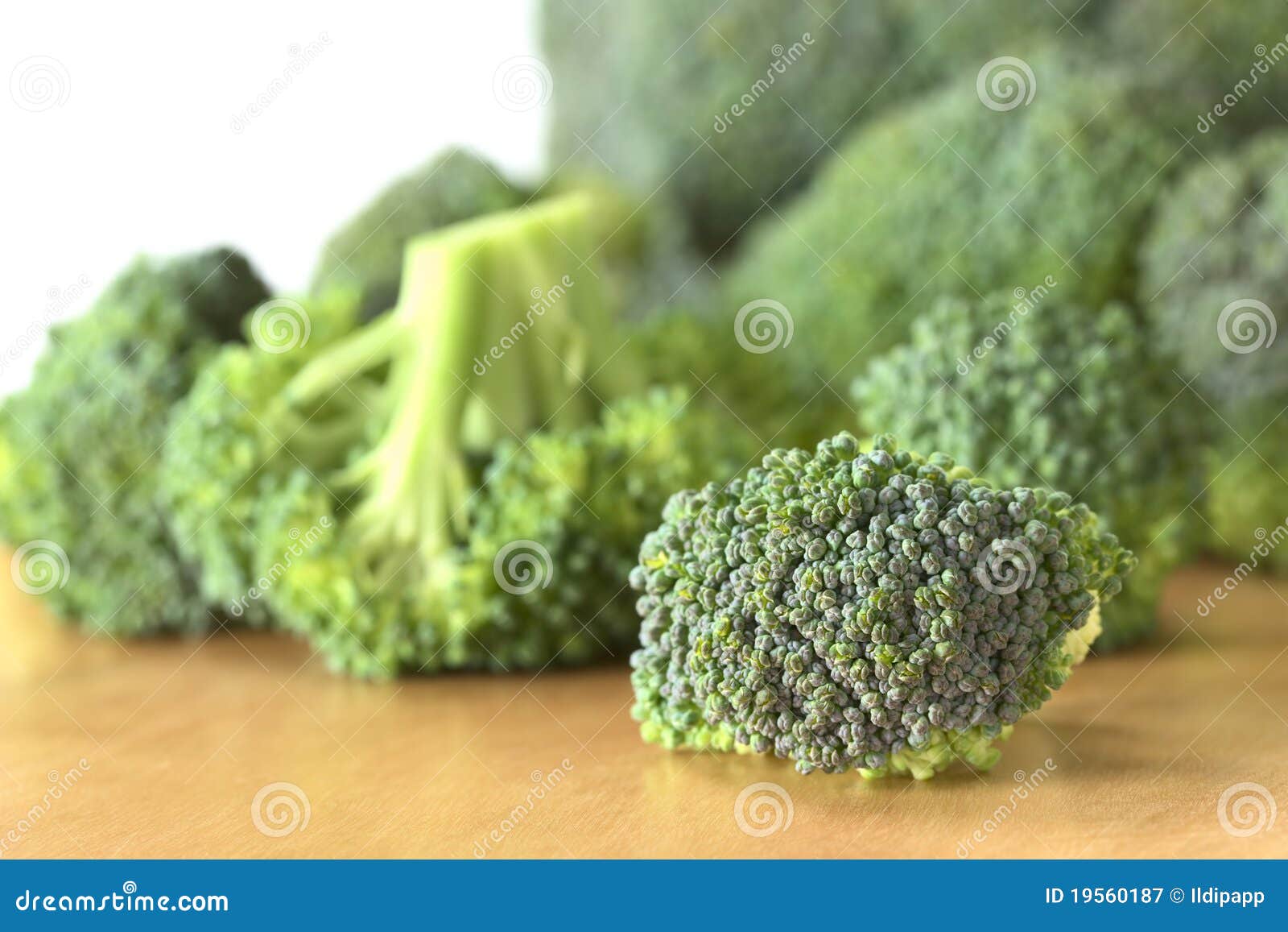 Raw Broccoli Floret stock image. Image of vegetable, horizontal - 19560187