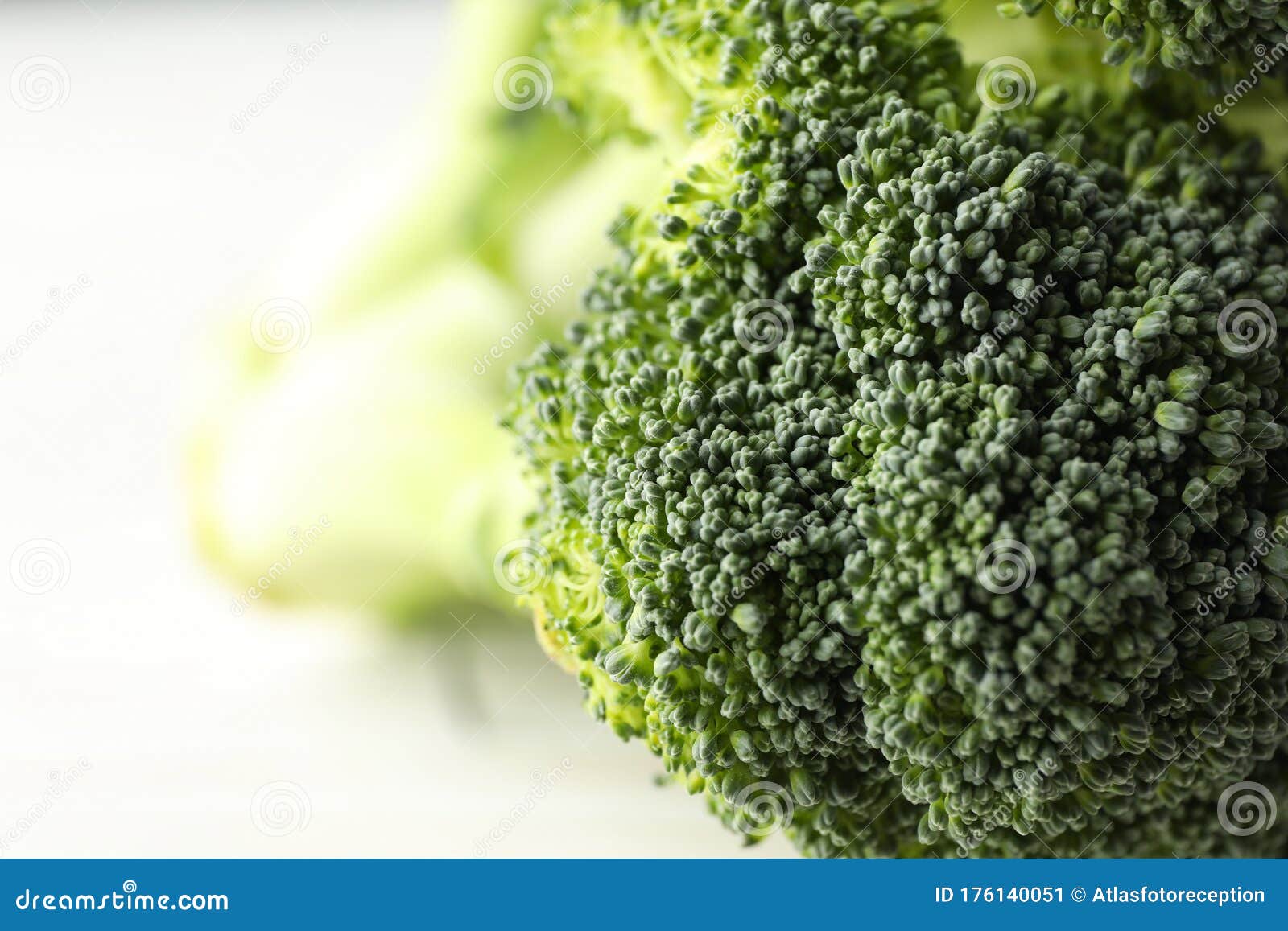 Raw Broccoli, Macro. Fresh Vegetable Stock Image - Image of isolated ...
