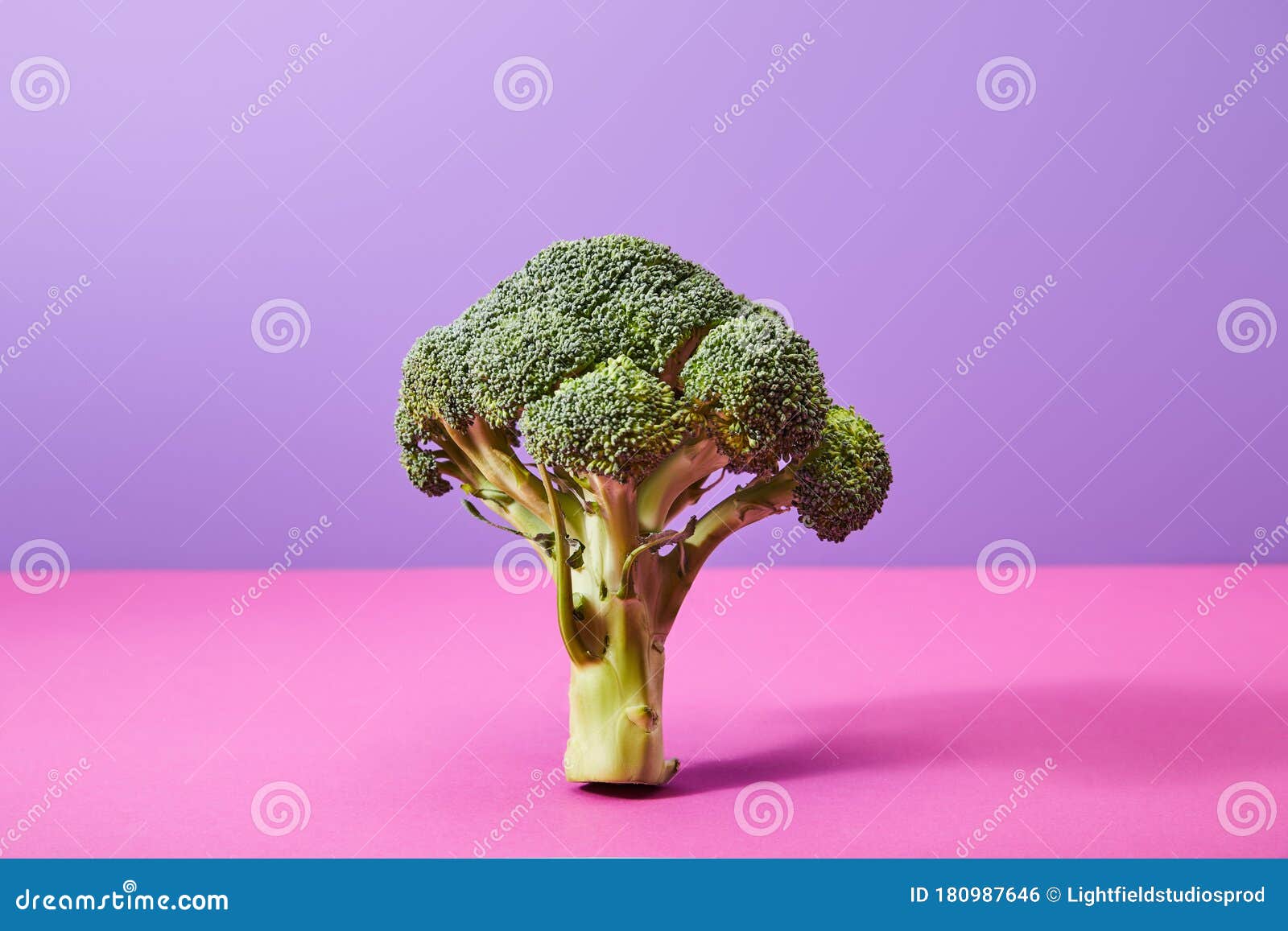 Raw Broccoli on Purple and Pink Stock Photo - Image of food, vegan ...