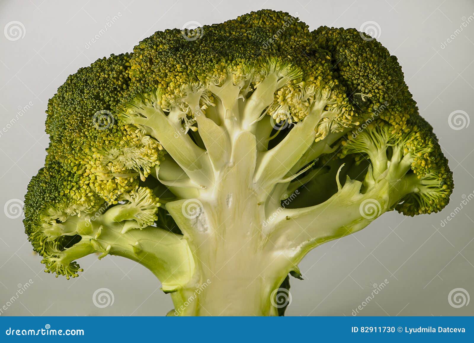 Raw broccoli shaped tree stock photo. Image of dieting - 82911730