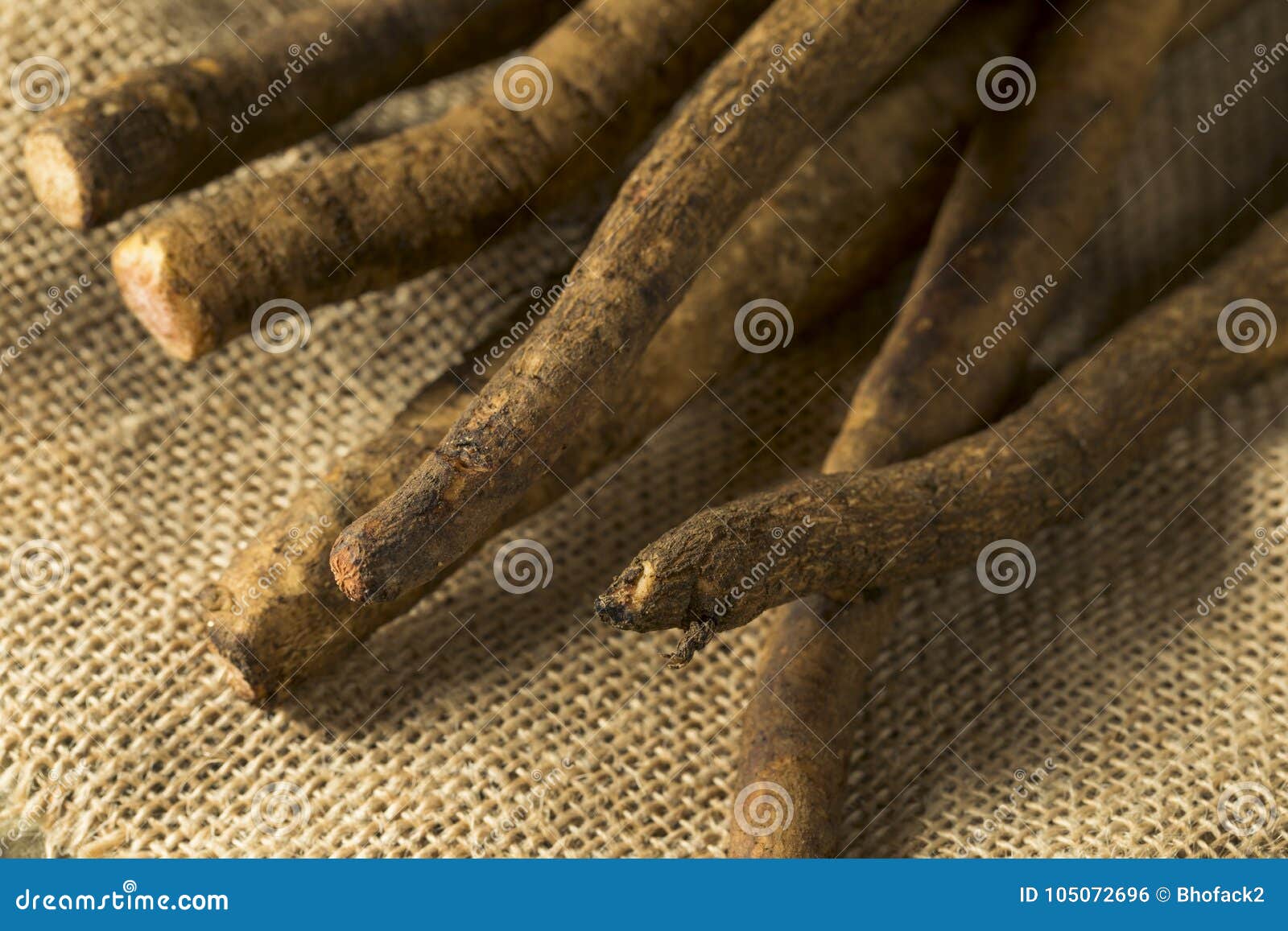 Raw Brown Organic Burdock Root Stock Photo - Image of fresh, material ...