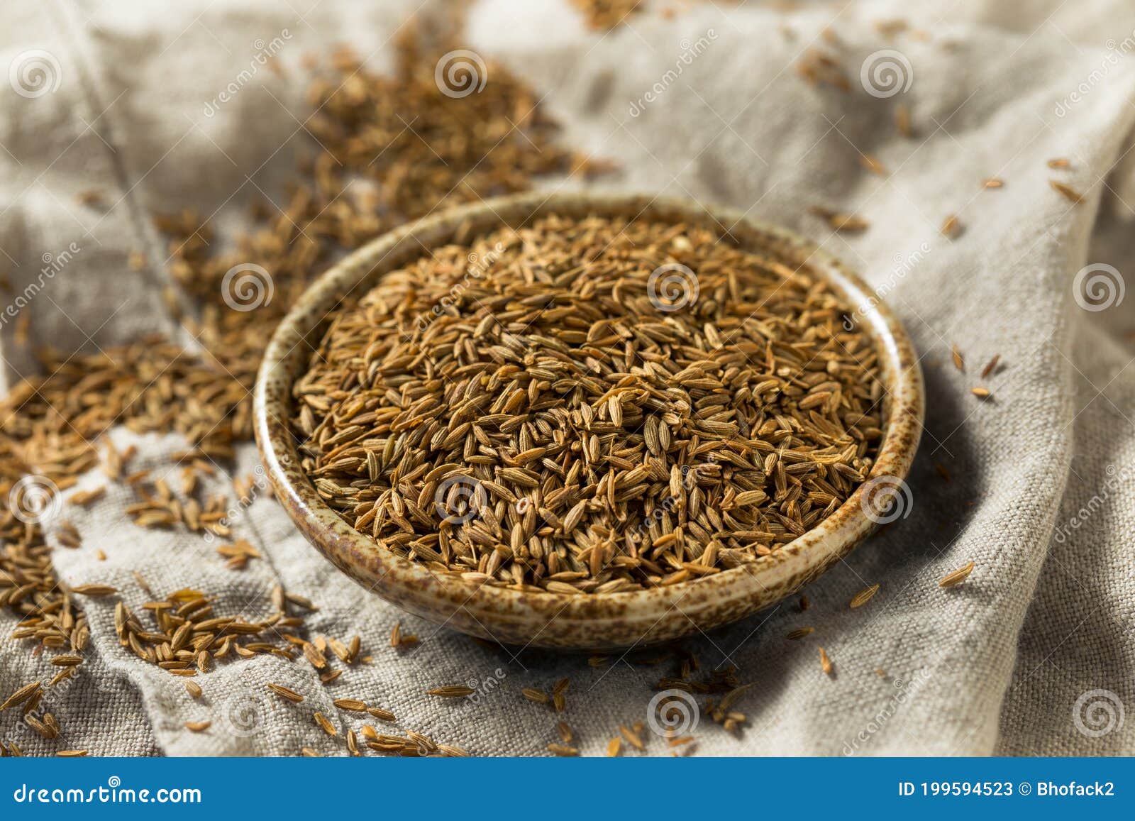Raw Brown Organic Cumin Seed Stock Image - Image of caraway, pile ...
