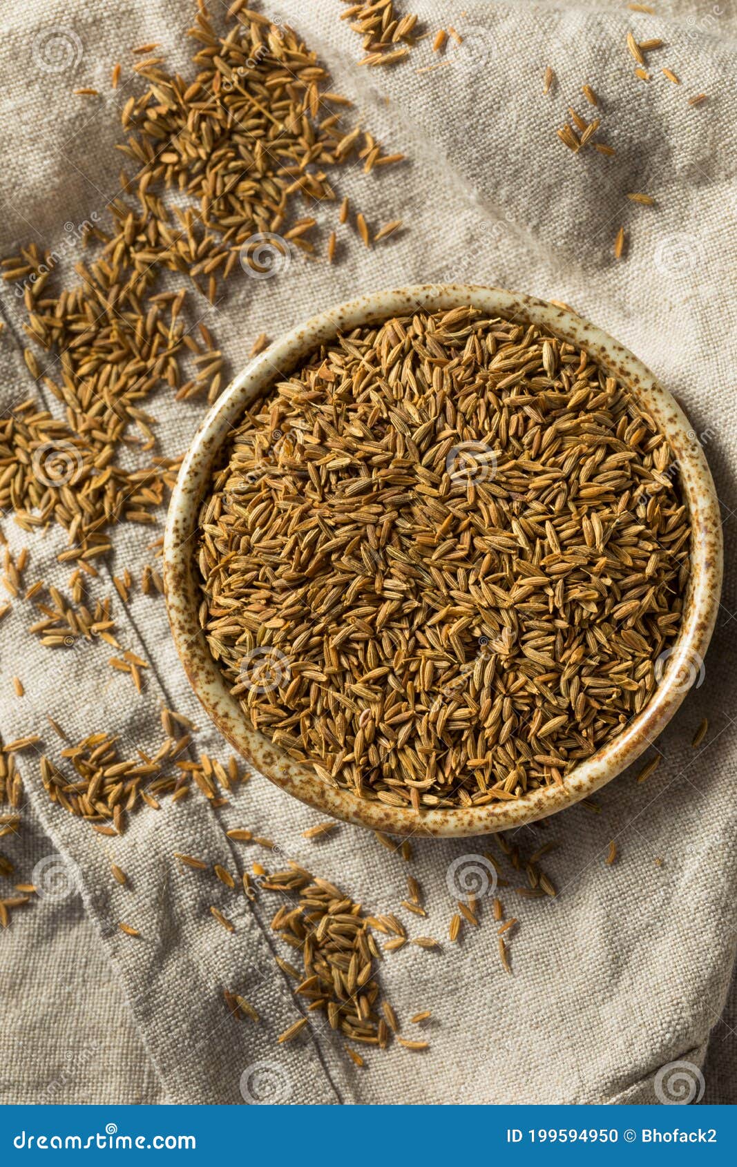 Raw Brown Organic Cumin Seed Stock Photo - Image of condiment, cumin ...