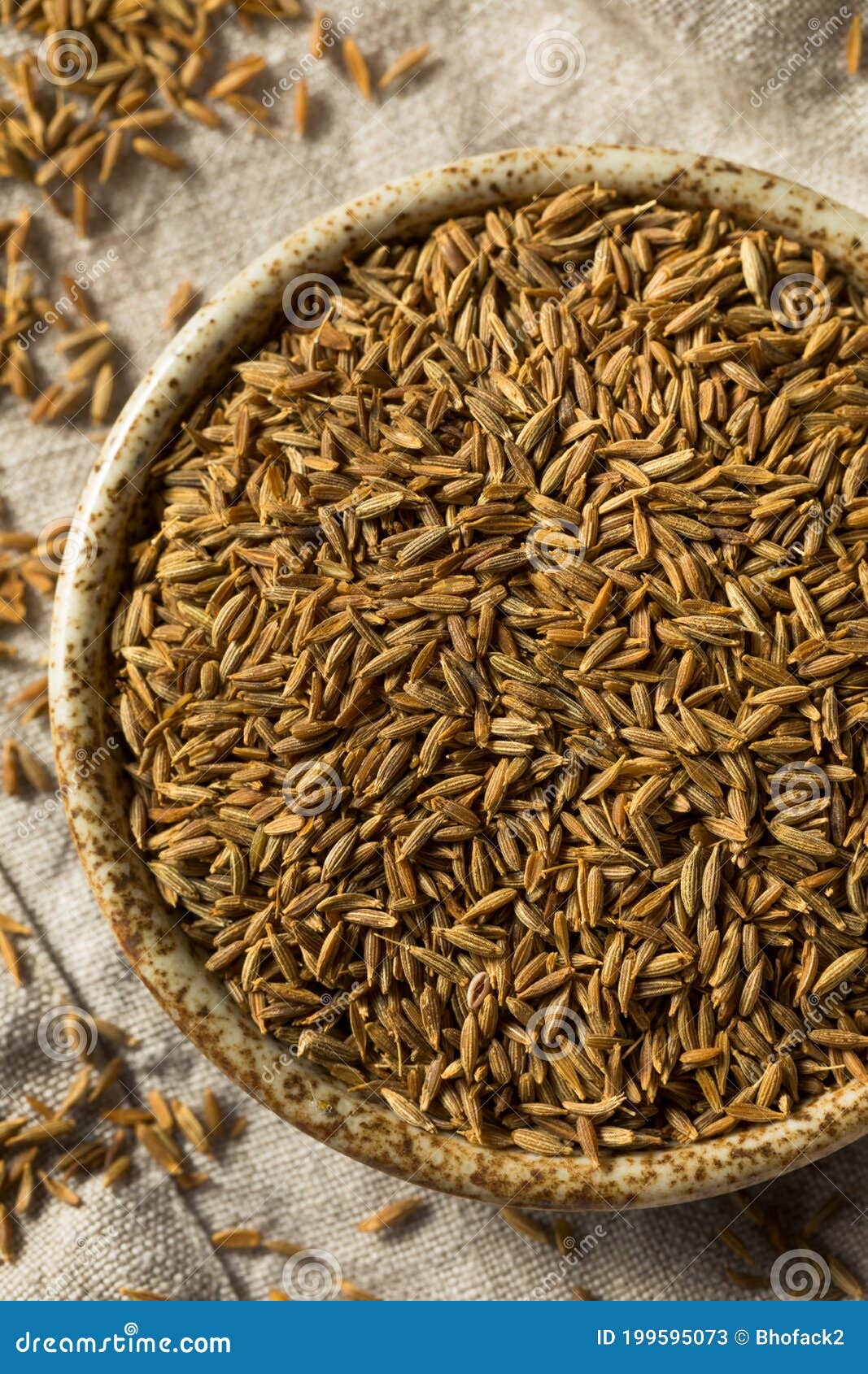 Raw Brown Organic Cumin Seed Stock Image - Image of spicy, healthy ...