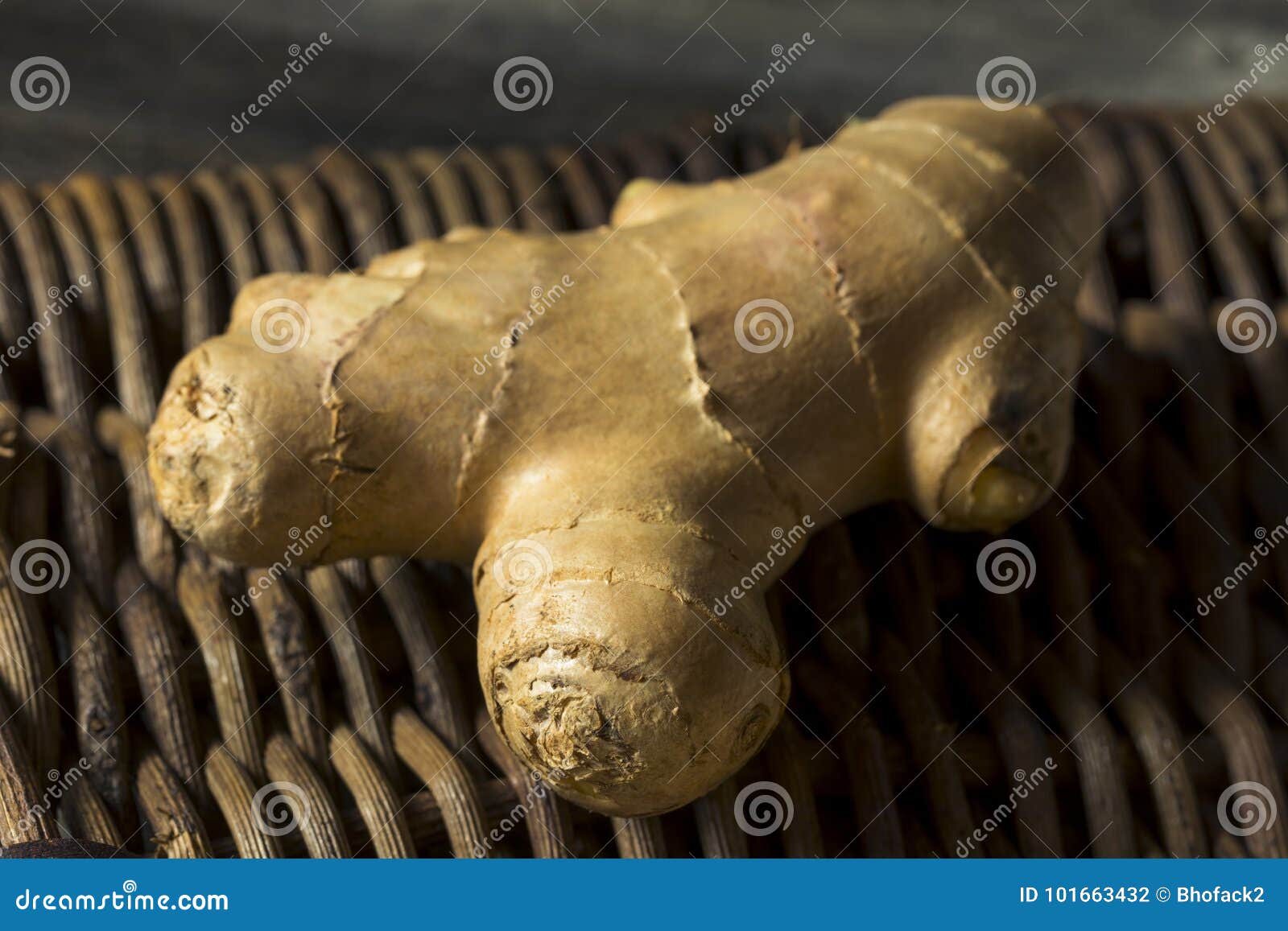 Raw Brown Organic Ginger Root Stock Photo - Image of seasoning, flavor ...