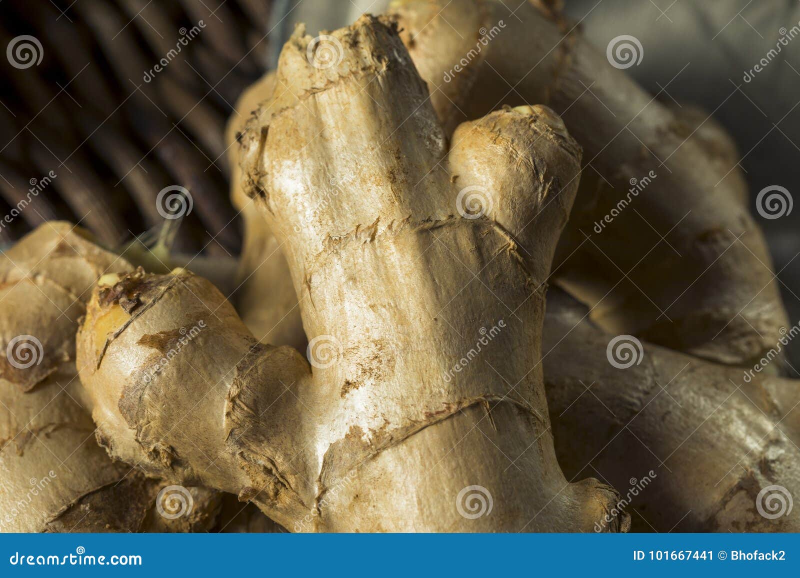 Raw Brown Organic Ginger Root Stock Image - Image of organic, brown ...