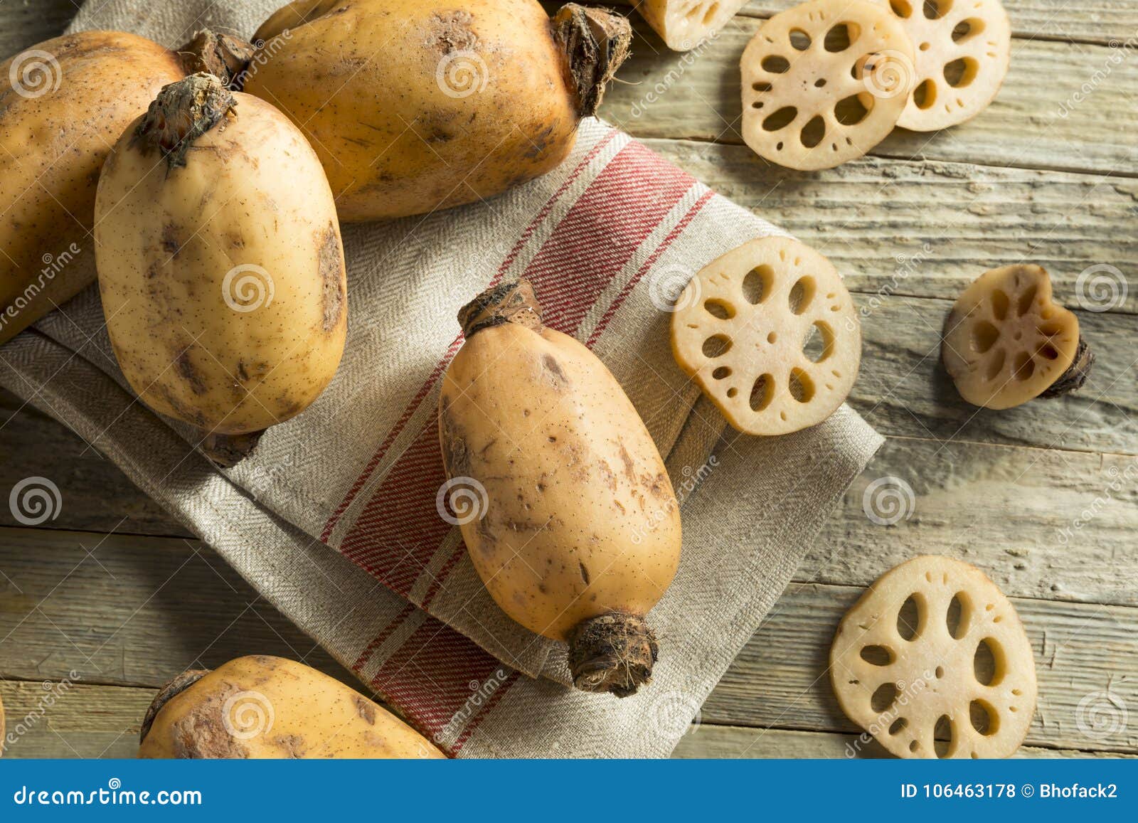 Raw Brown Organic Lotus Root Stock Photo - Image of fiber, chopped ...