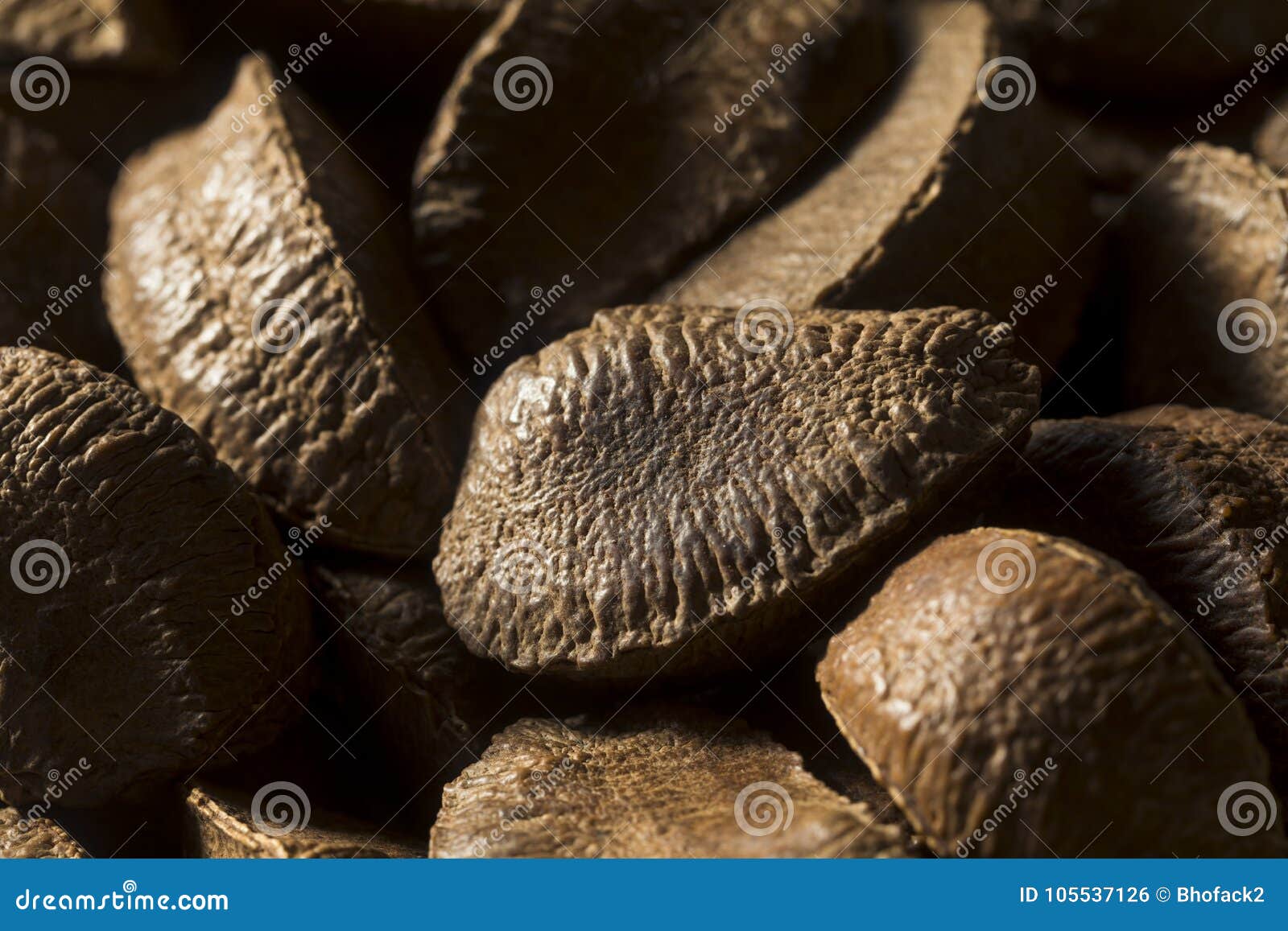 Raw Brown Organic Shelled Brazil Nuts Stock Photo - Image of heap ...