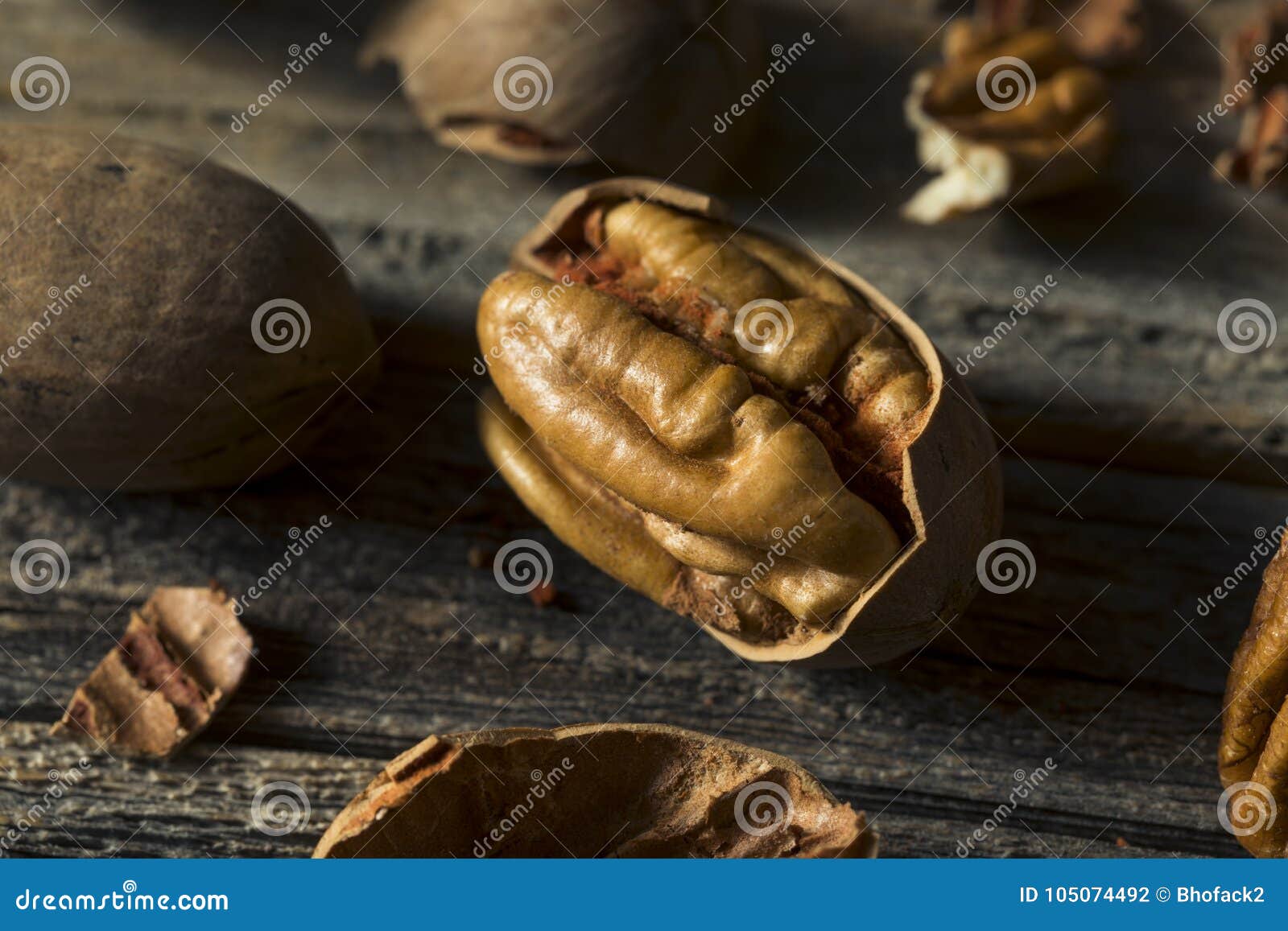 Raw Brown Organic Shelled Pecans Stock Photo - Image of food, texture ...
