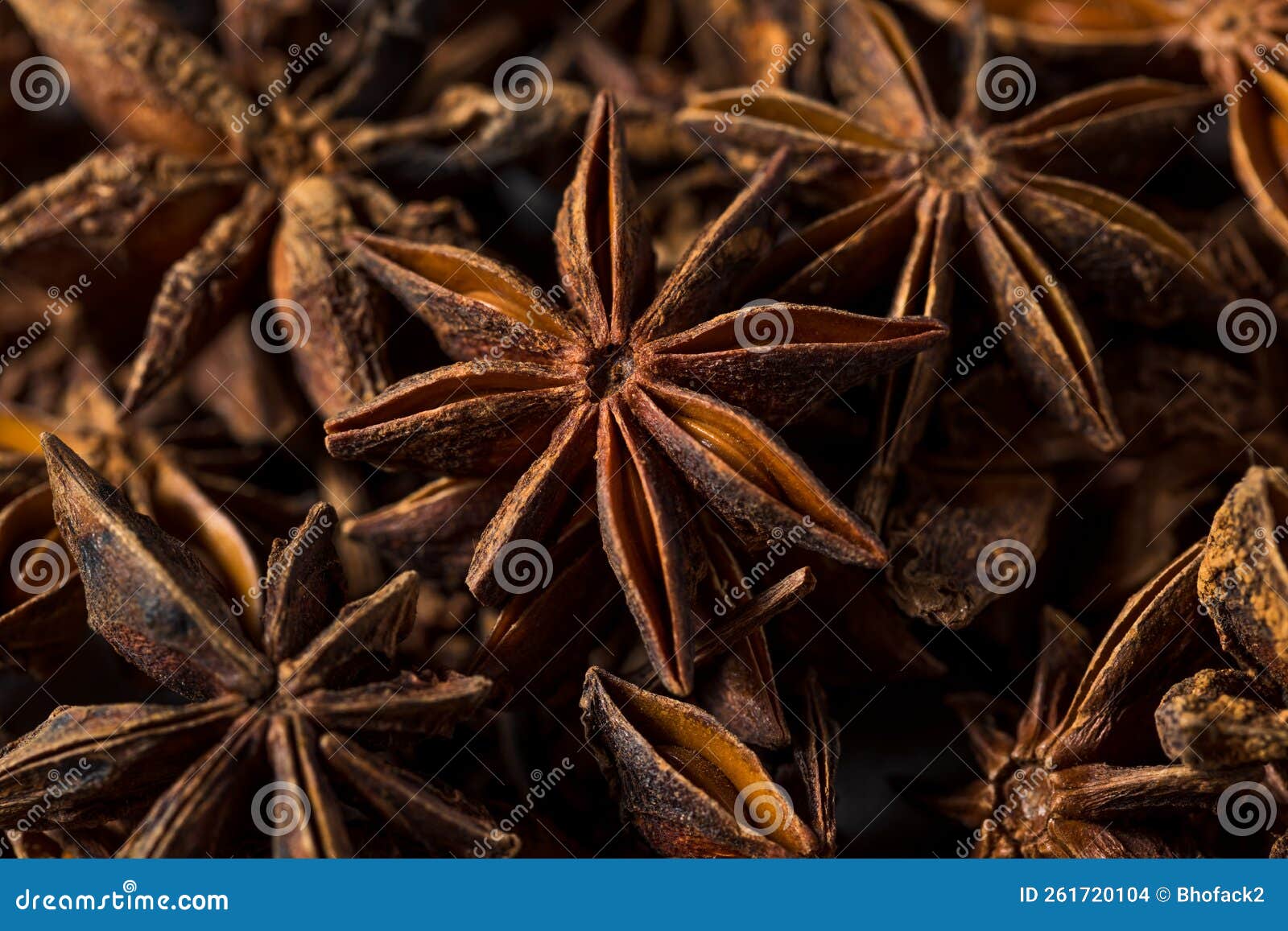 Raw Brown Organic Star Anise Spice Stock Photo - Image of aroma ...