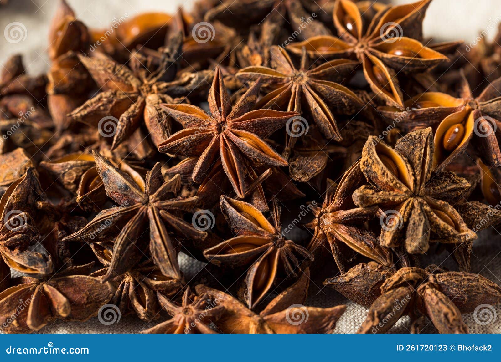 Raw Brown Organic Star Anise Spice Stock Image - Image of spice ...