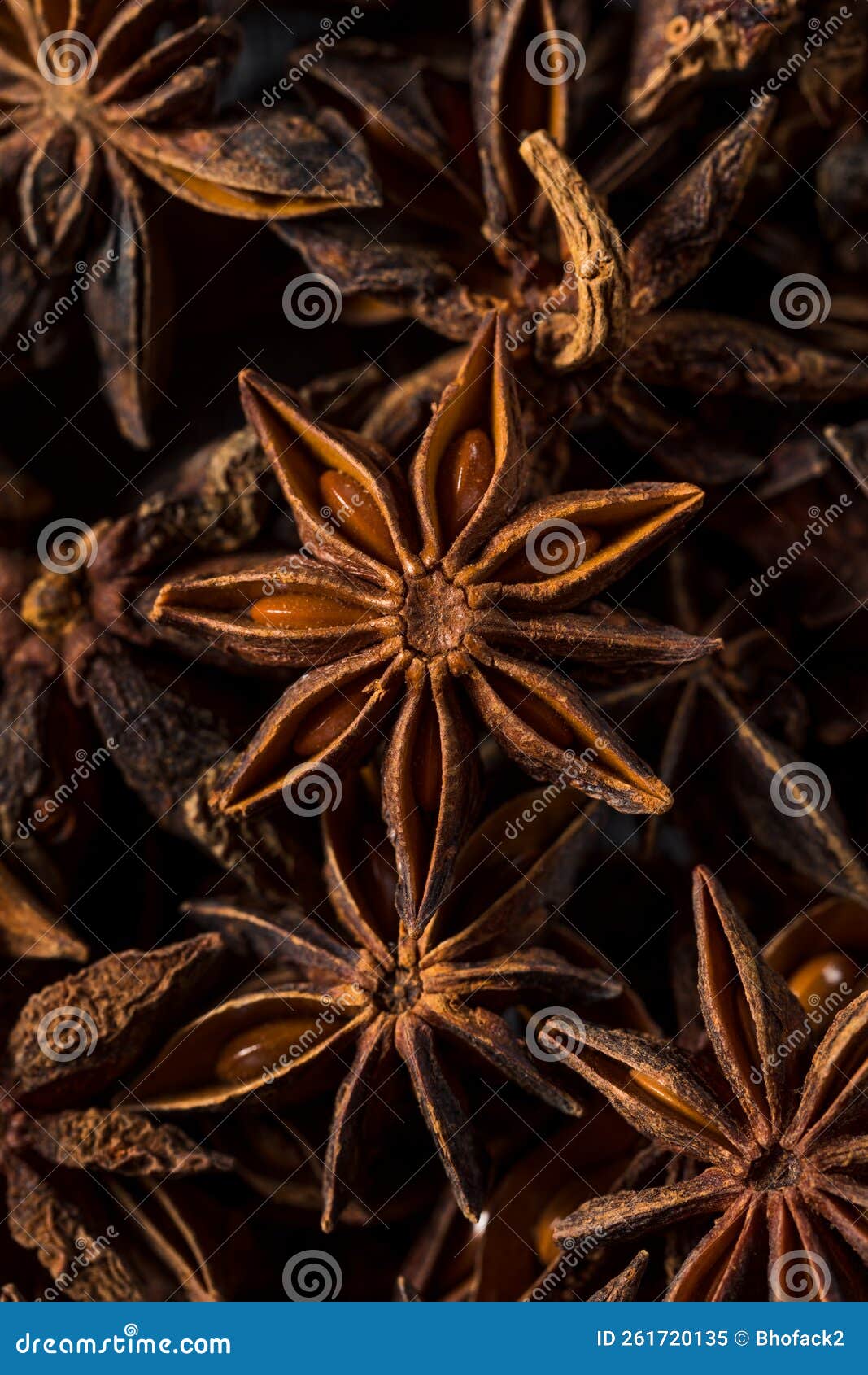 Raw Brown Organic Star Anise Spice Stock Image - Image of ingredient ...