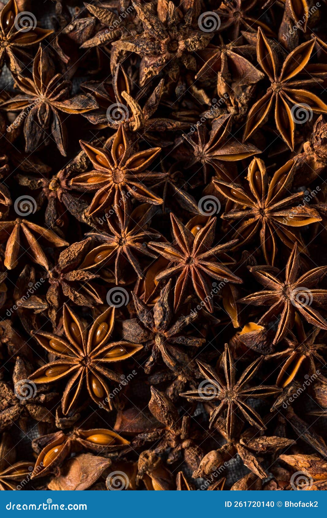 Raw Brown Organic Star Anise Spice Stock Photo - Image of ingredient ...