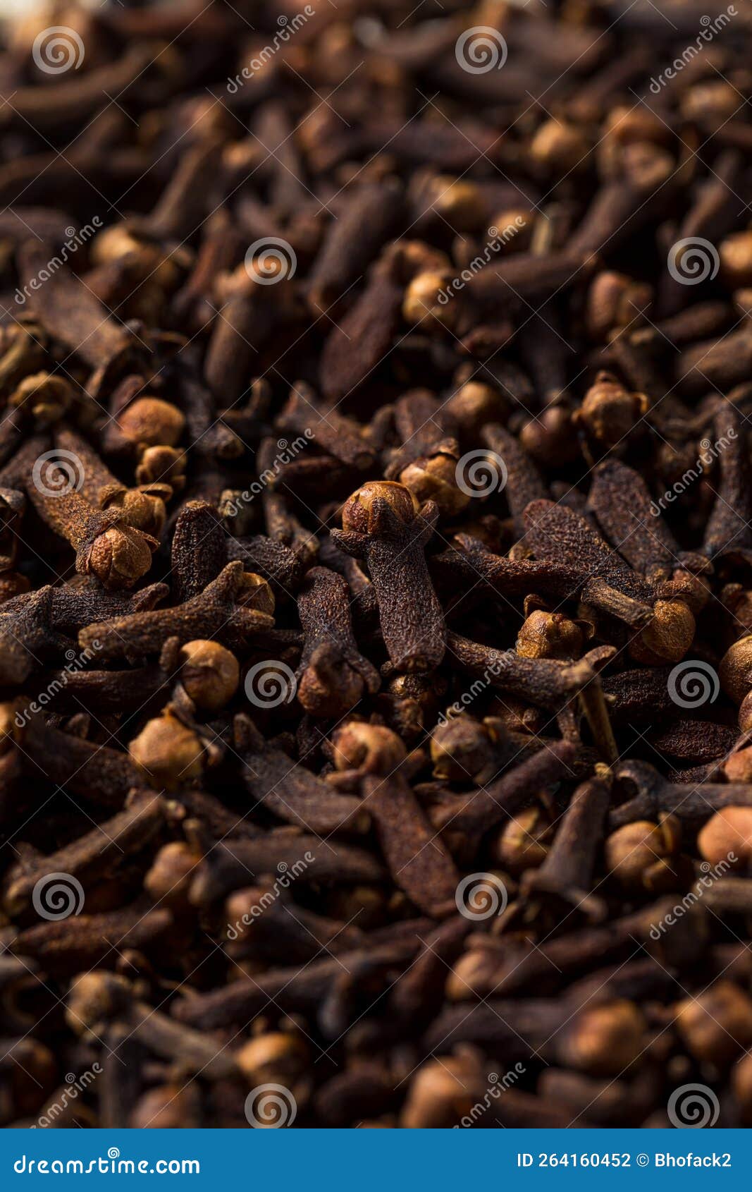 Raw Brown Organic Whole Cloves Stock Photo - Image of gourmet, food ...