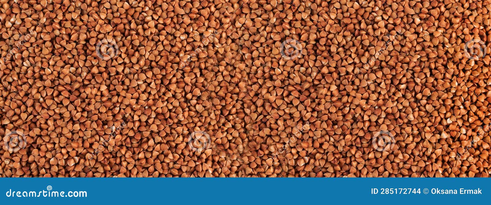 Raw Buckwheat Texture Background, Brown Grains Pattern, Pseudocereal ...