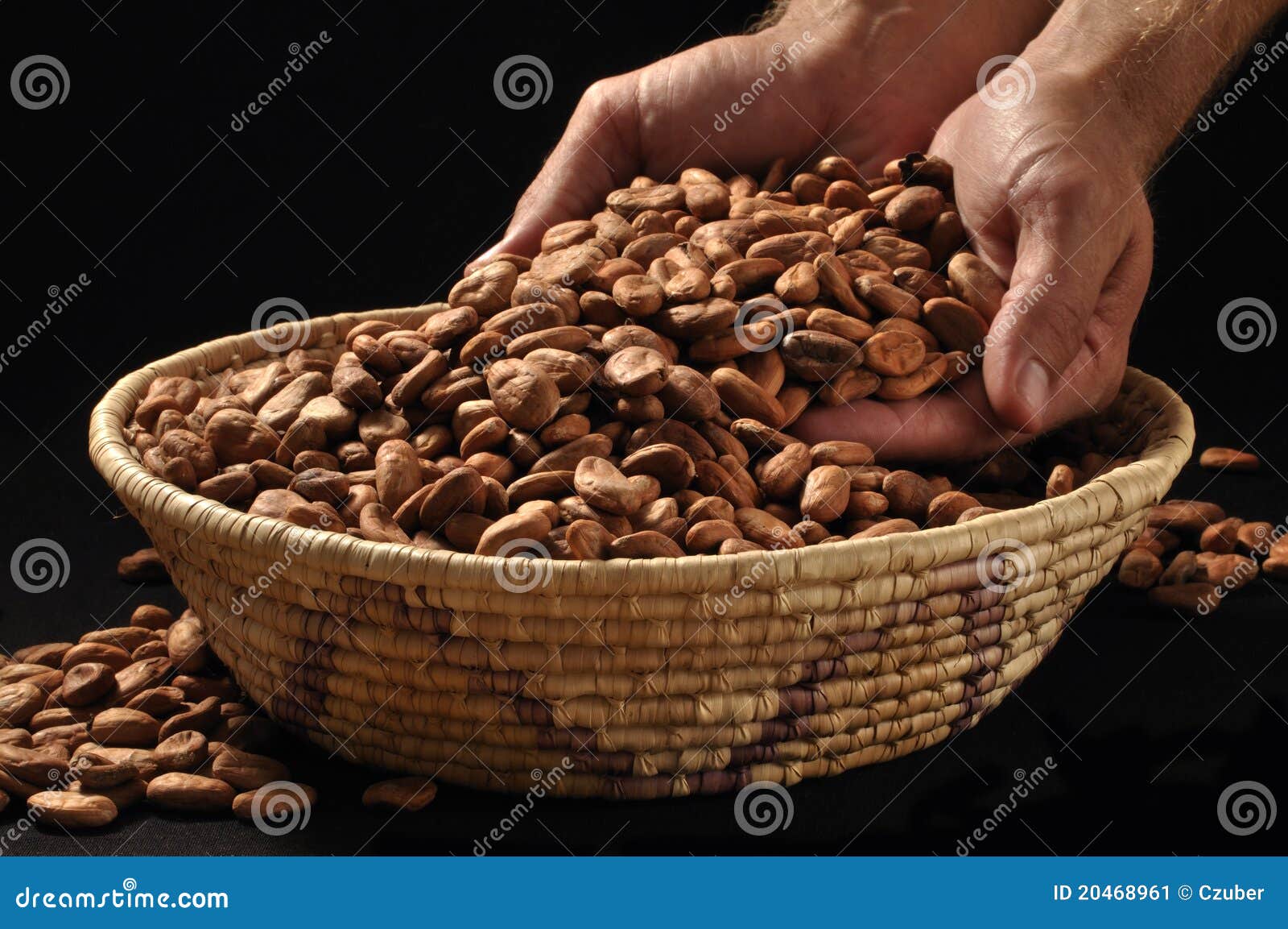 Raw cacao stock image. Image of production, basket, beans - 20468961