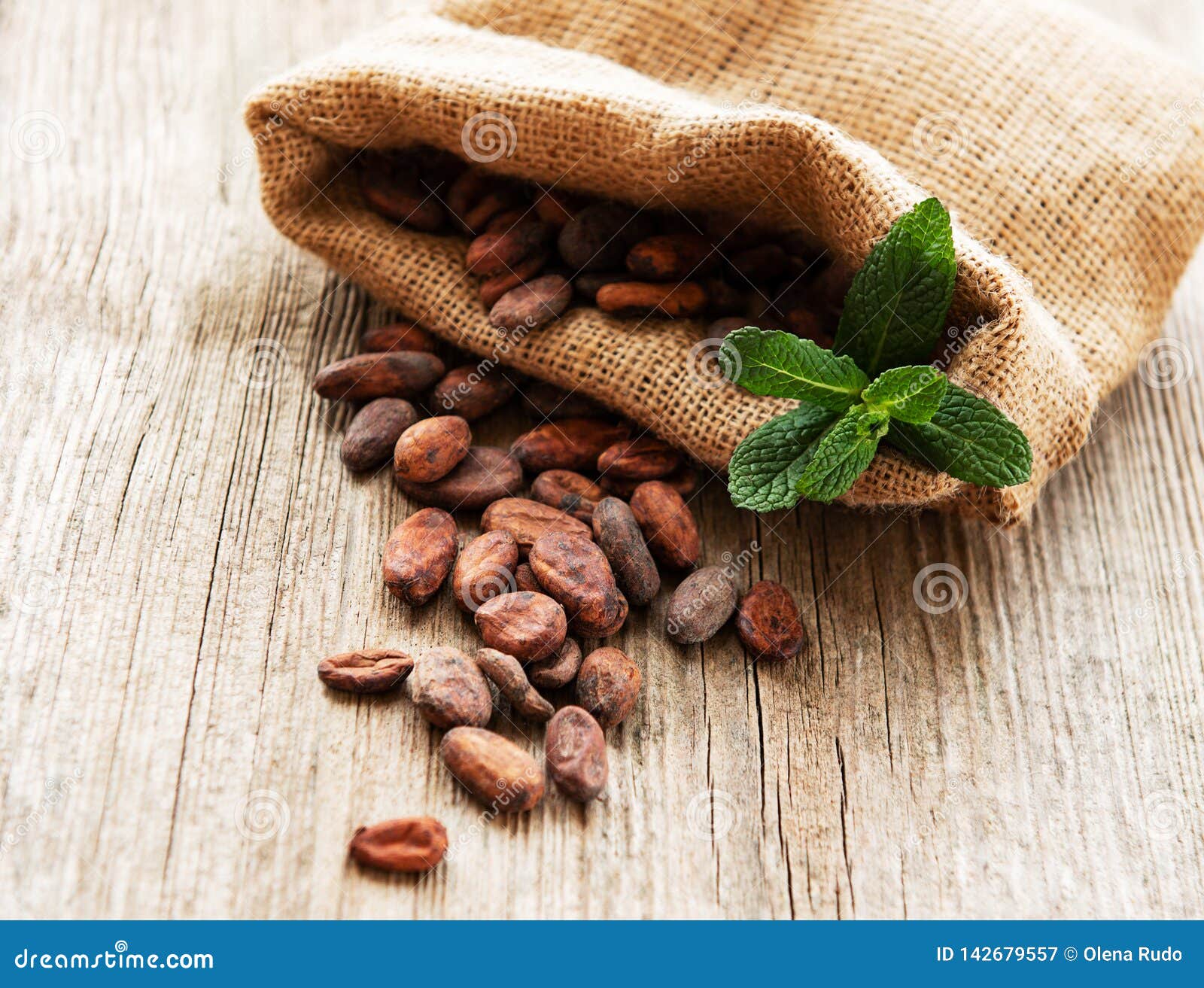 Raw cacao beans stock image. Image of group, organic - 142679557