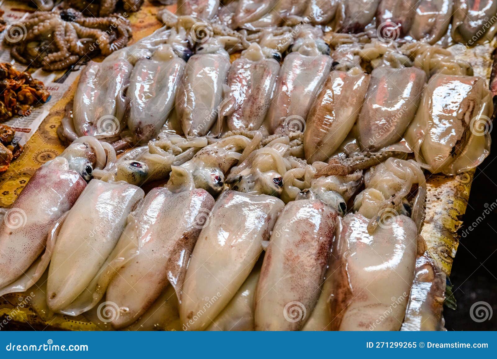 Raw Calamari for Sale at the Fish Market Stock Image - Image of color ...
