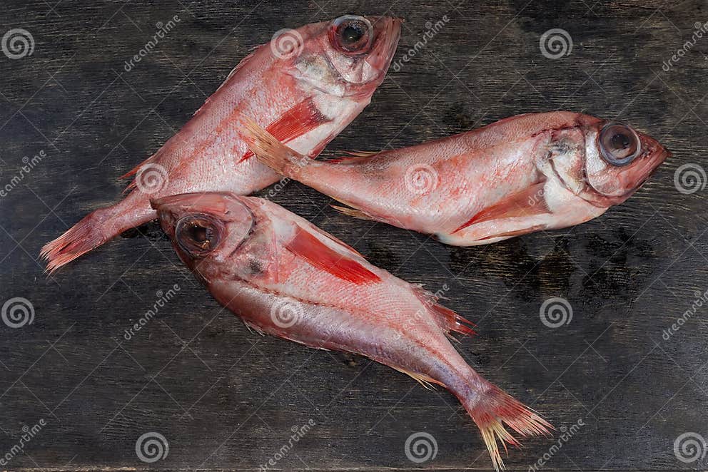 Raw Carcasses of Redfish on the Black Surface Stock Image - Image of ...
