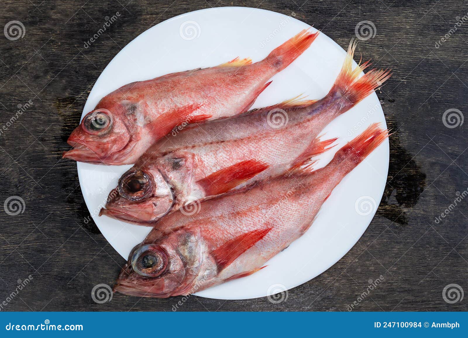 Raw Carcasses of Redfish on Dish on the Black Surface Stock Photo ...