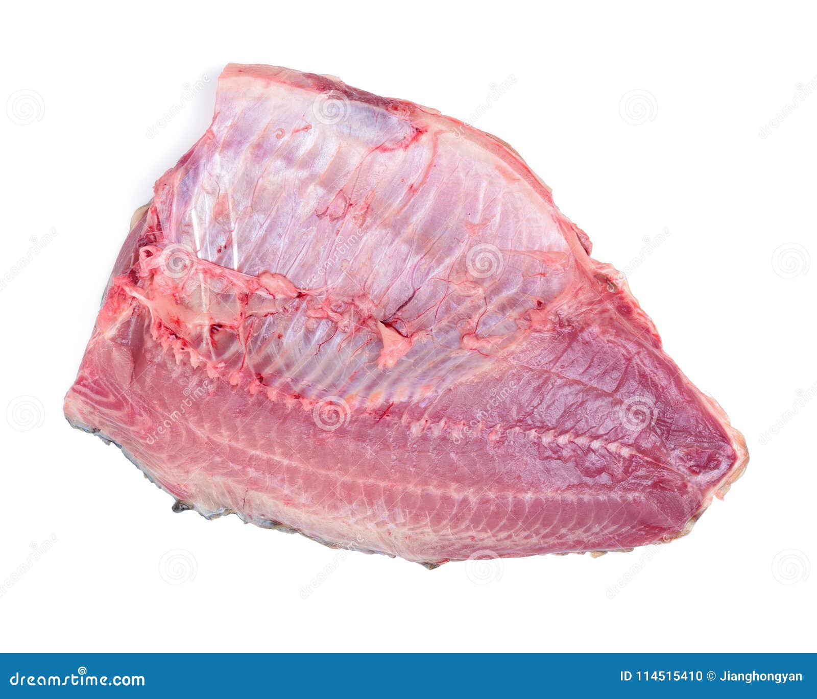 Raw carp fillets stock photo. Image of studio, shot - 114515410