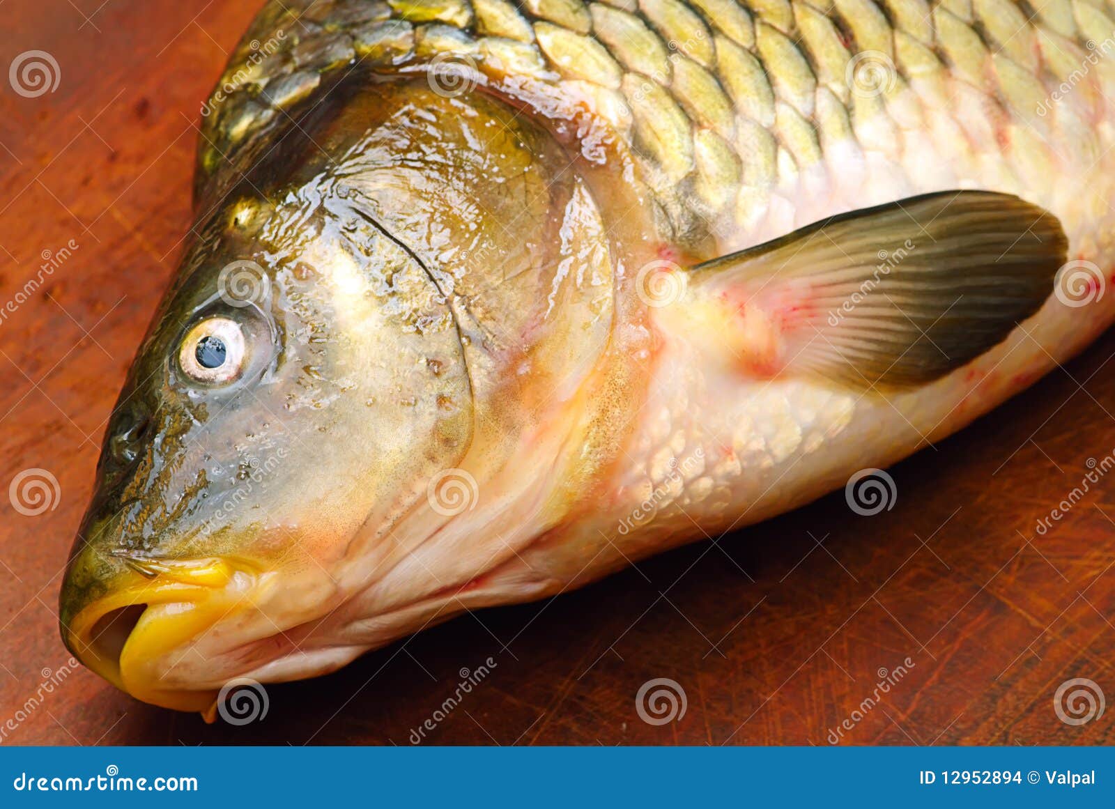 Raw Carp Fish on a Wooden Board Stock Photo - Image of nature, diets ...