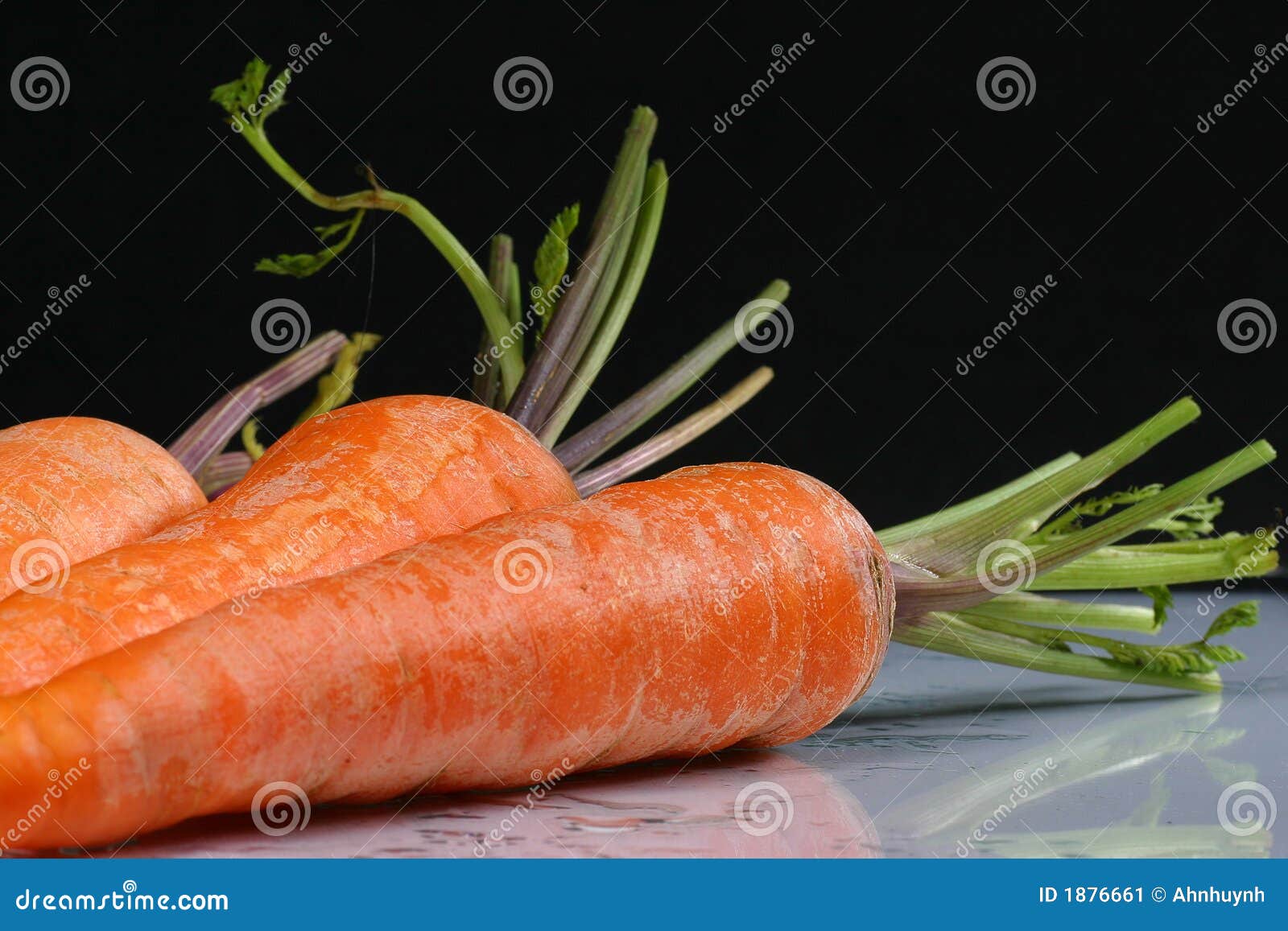 Raw carrot detail stock image. Image of green, fresh, carrots - 1876661