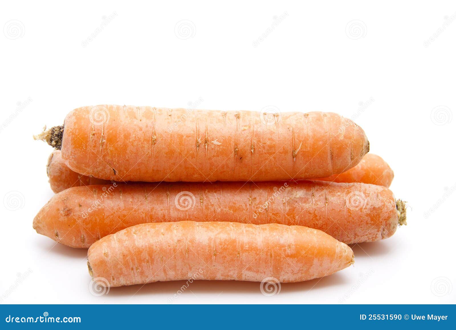 Raw carrots stock photo. Image of vitamins, harvested - 25531590