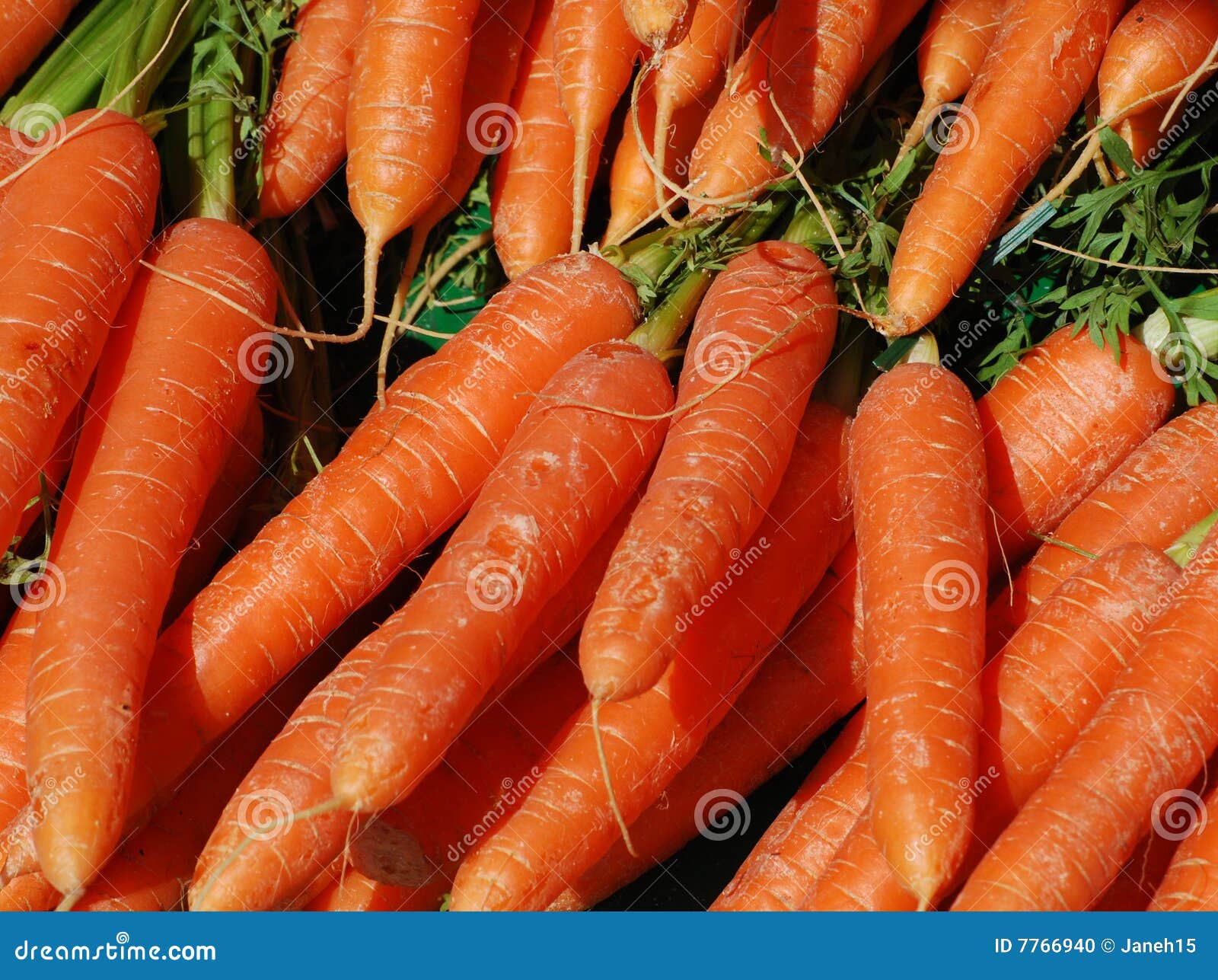 Raw carrots stock photo. Image of market, healthy, menu - 7766940