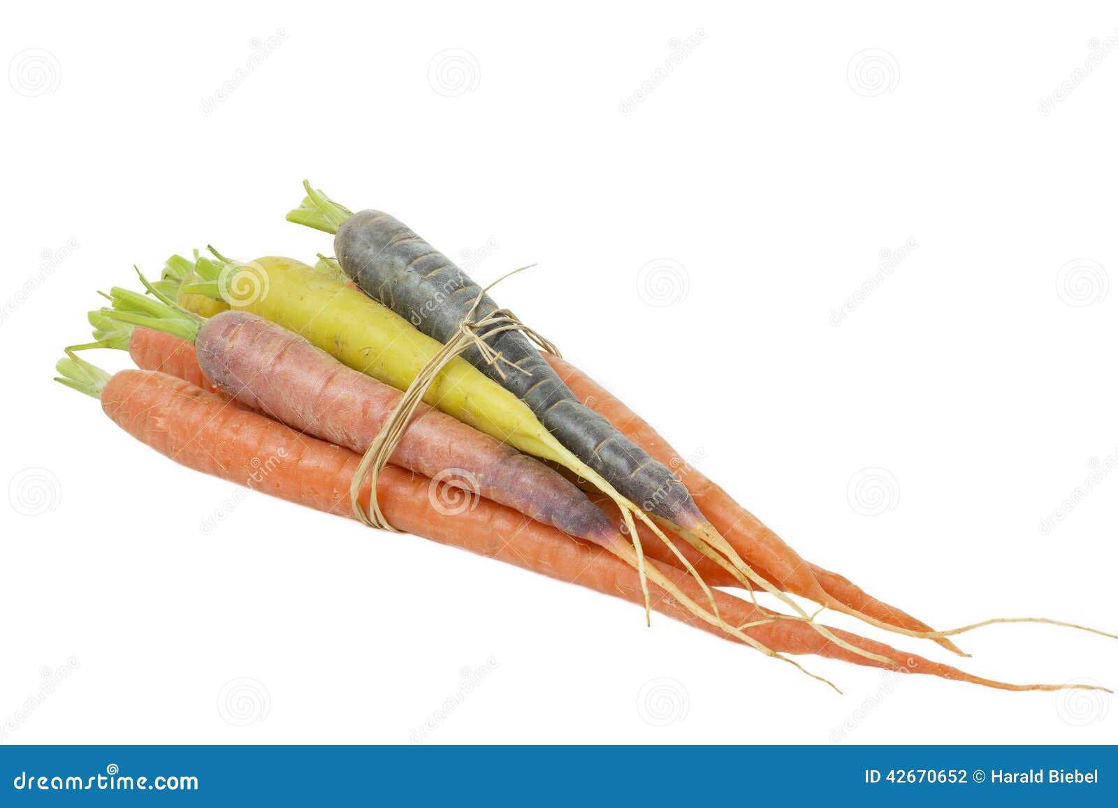 Raw Carrots with Different Colors Stock Photo - Image of green, produce ...
