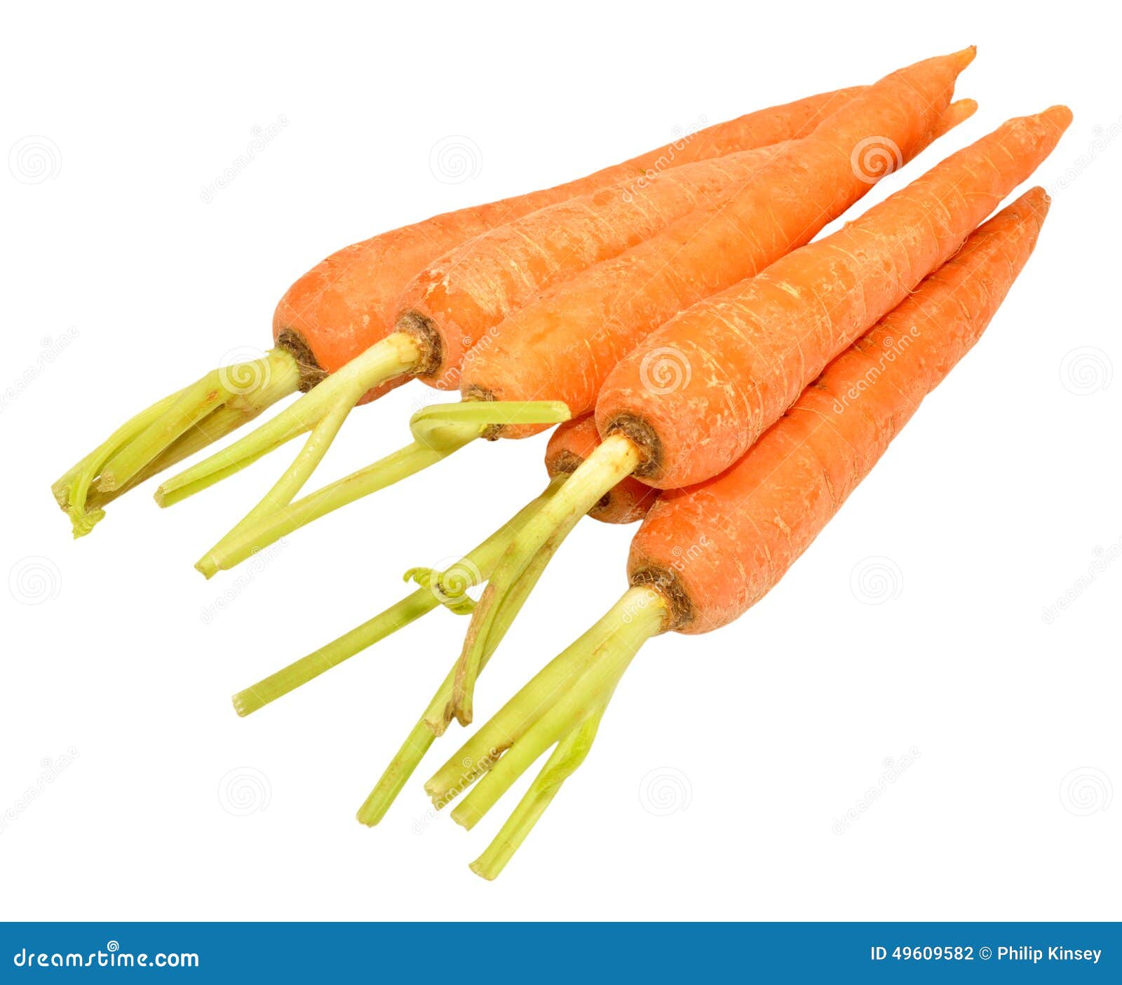 Raw Carrots stock photo. Image of orange, carrot, background - 49609582