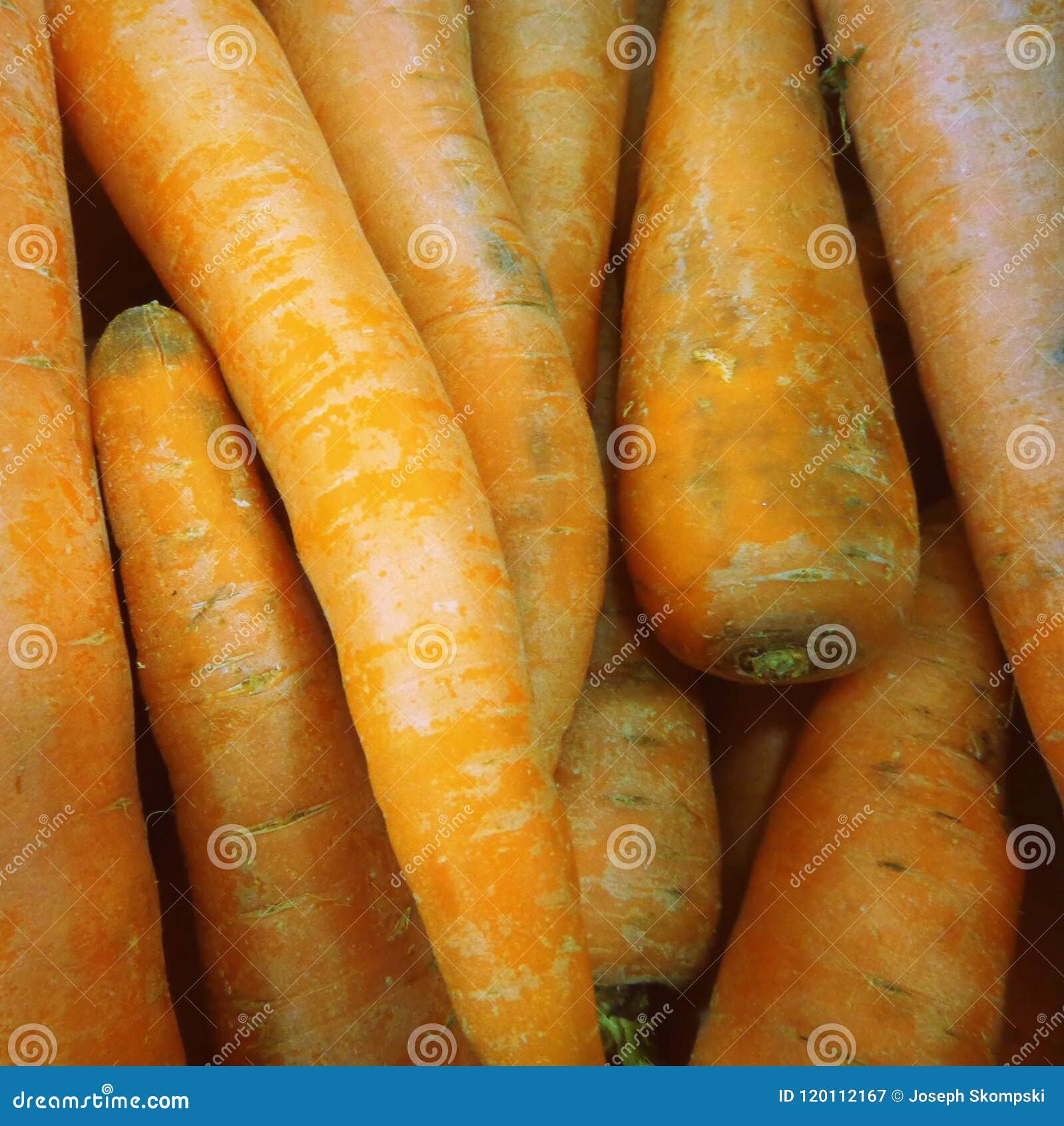 Carrots Food Texture Square Format Stock Image - Image of healthy ...