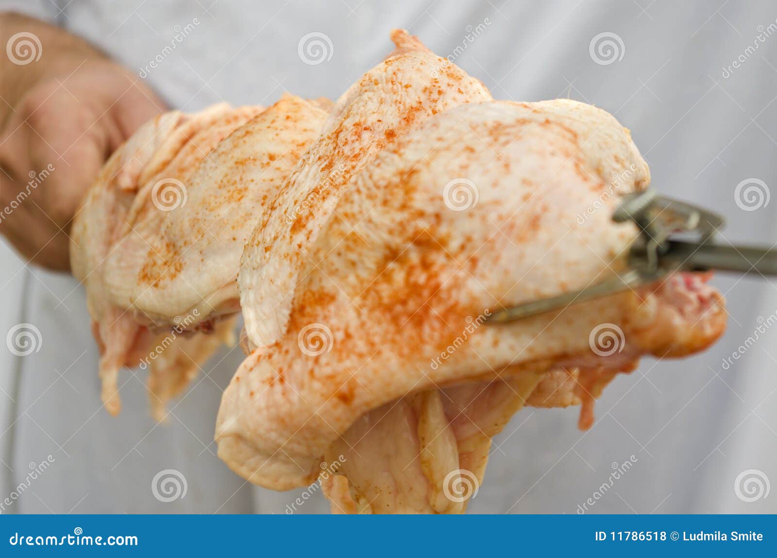 The raw chicken. stock photo. Image of board, hand, grilled - 11786518