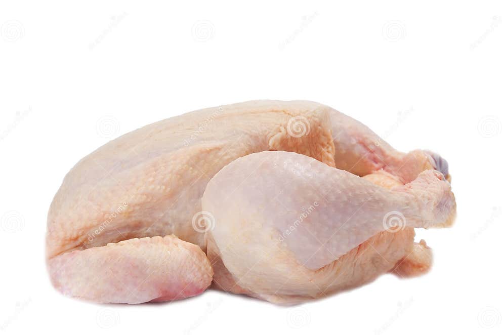 Raw Chicken stock photo. Image of background, animal - 16452550