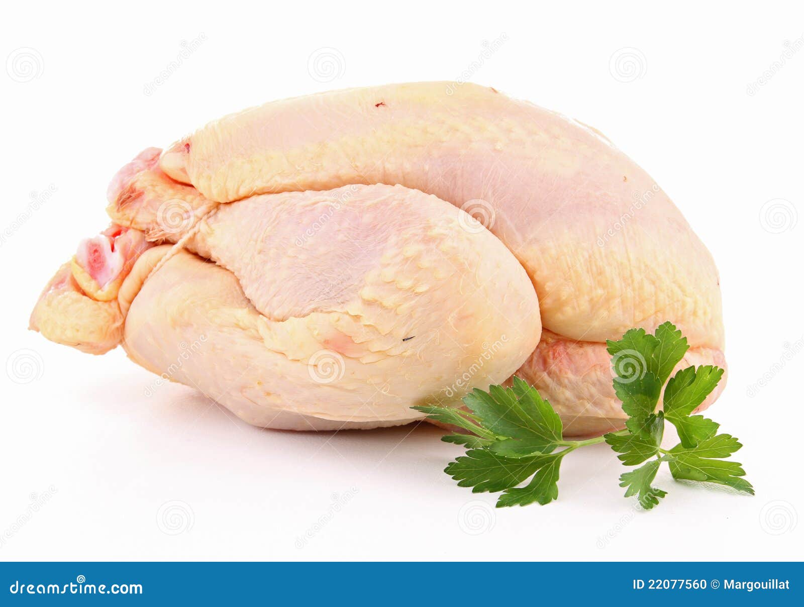 Raw chicken stock photo. Image of chicken, meat, edible - 22077560