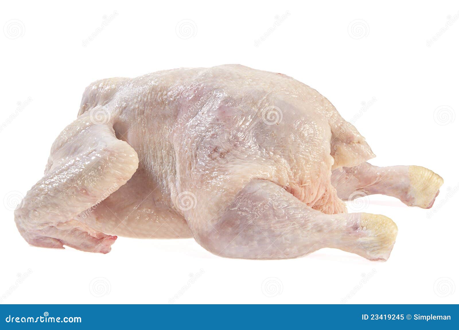Raw chicken stock image. Image of roast, animal, grill - 23419245