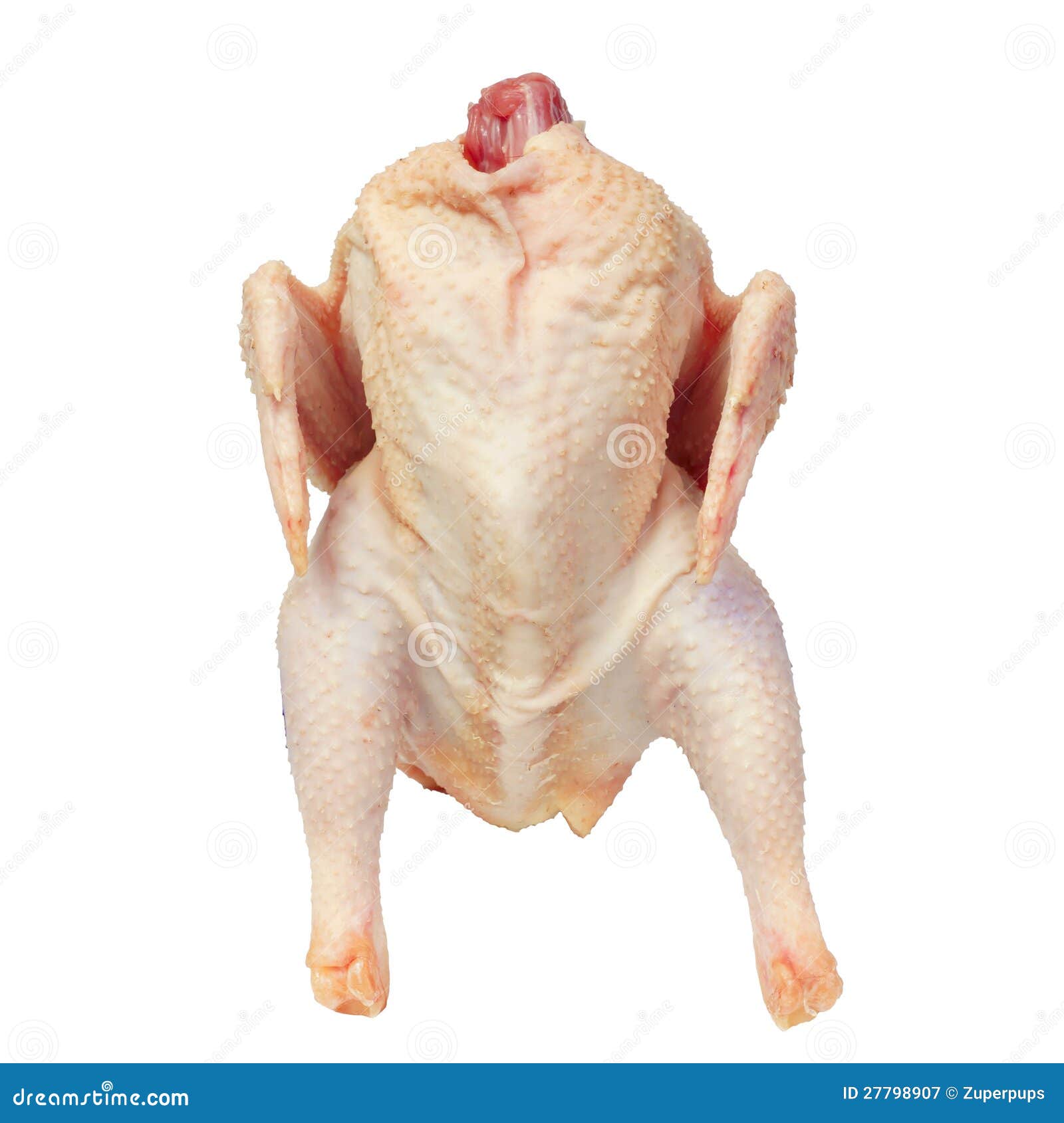 Raw chicken stock image. Image of fast, dinner, body - 27798907