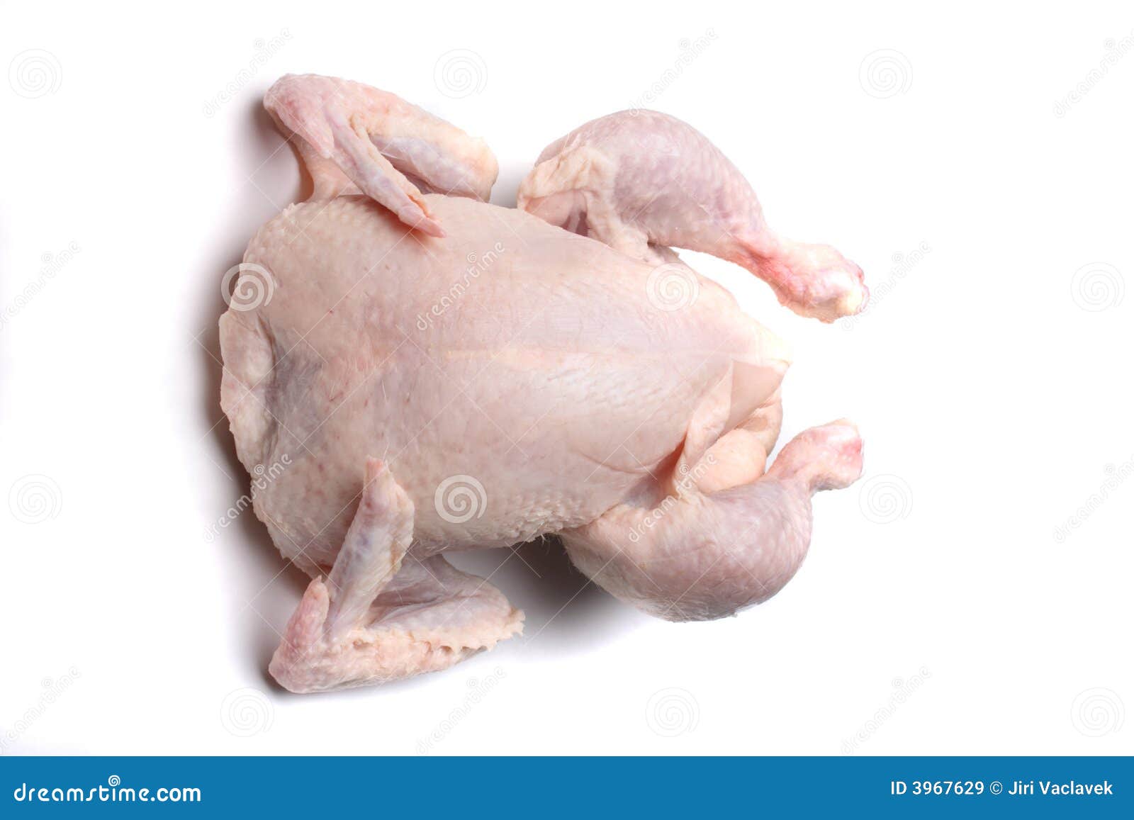 Raw chicken stock image. Image of farm, restaurant, bird - 3967629