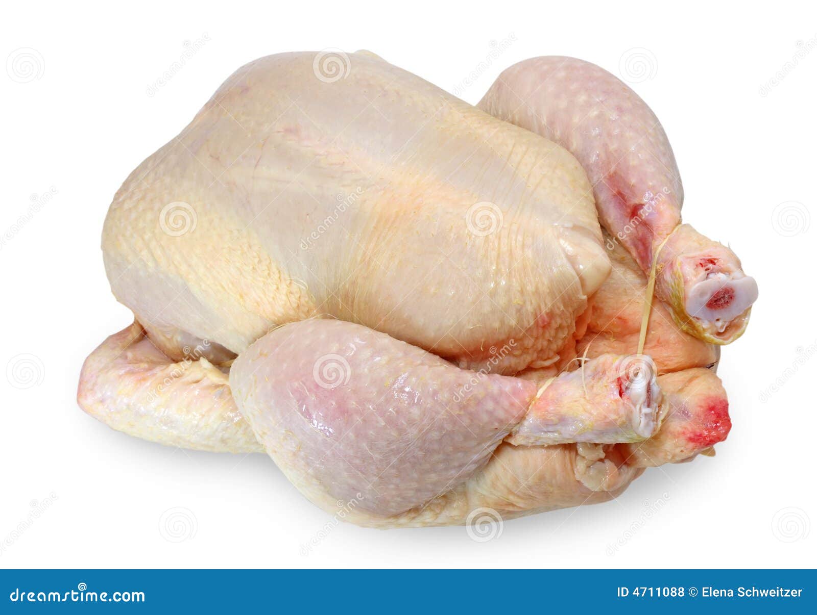 Raw chicken stock photo. Image of isolated, poultry, cook - 4711088