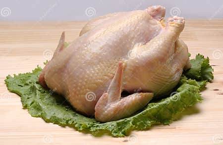 Raw chicken stock photo. Image of meat, fresh, vegetable - 5905654
