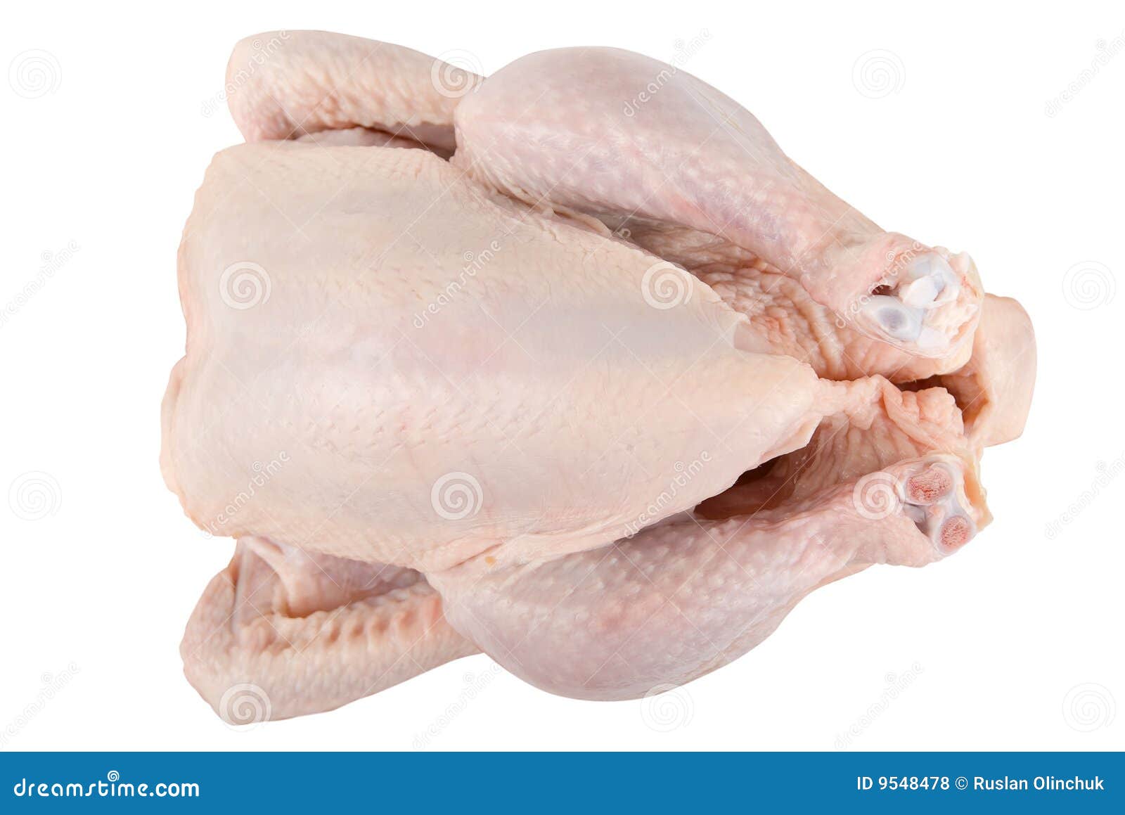 Raw chicken stock photo. Image of meal, farming, isolation - 9548478