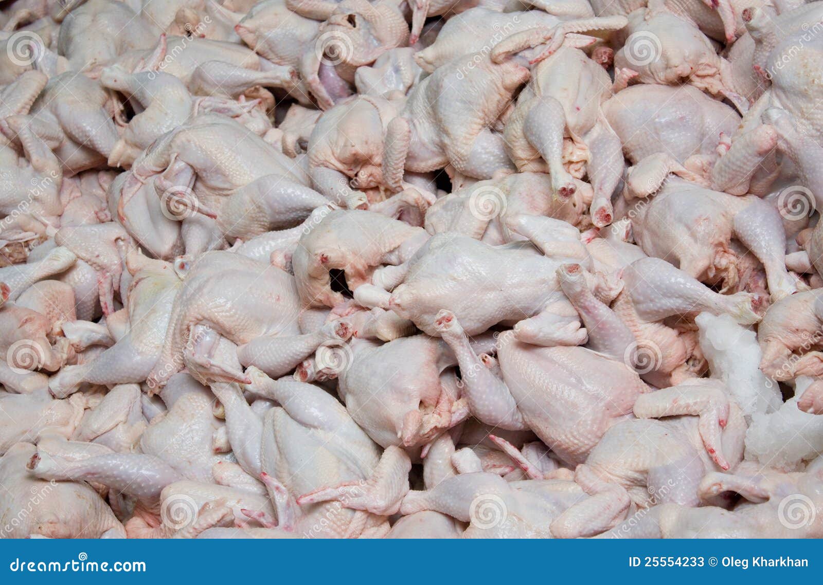 Raw chicken broilers stock image. Image of bird, cuisine - 25554233