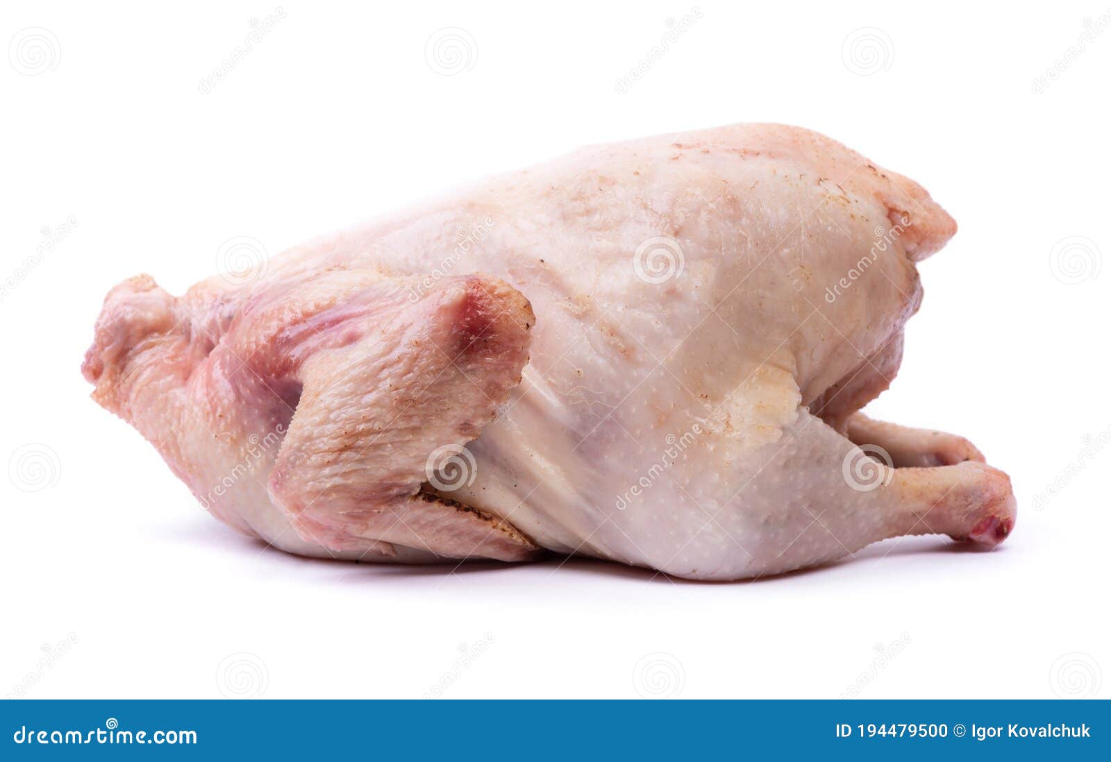 Raw chicken carcass stock photo. Image of delicious - 194479500